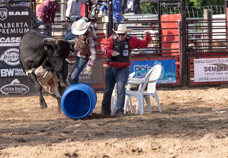Bull Riding Photos, Download The BEST Free Bull Riding Stock Photos ...
