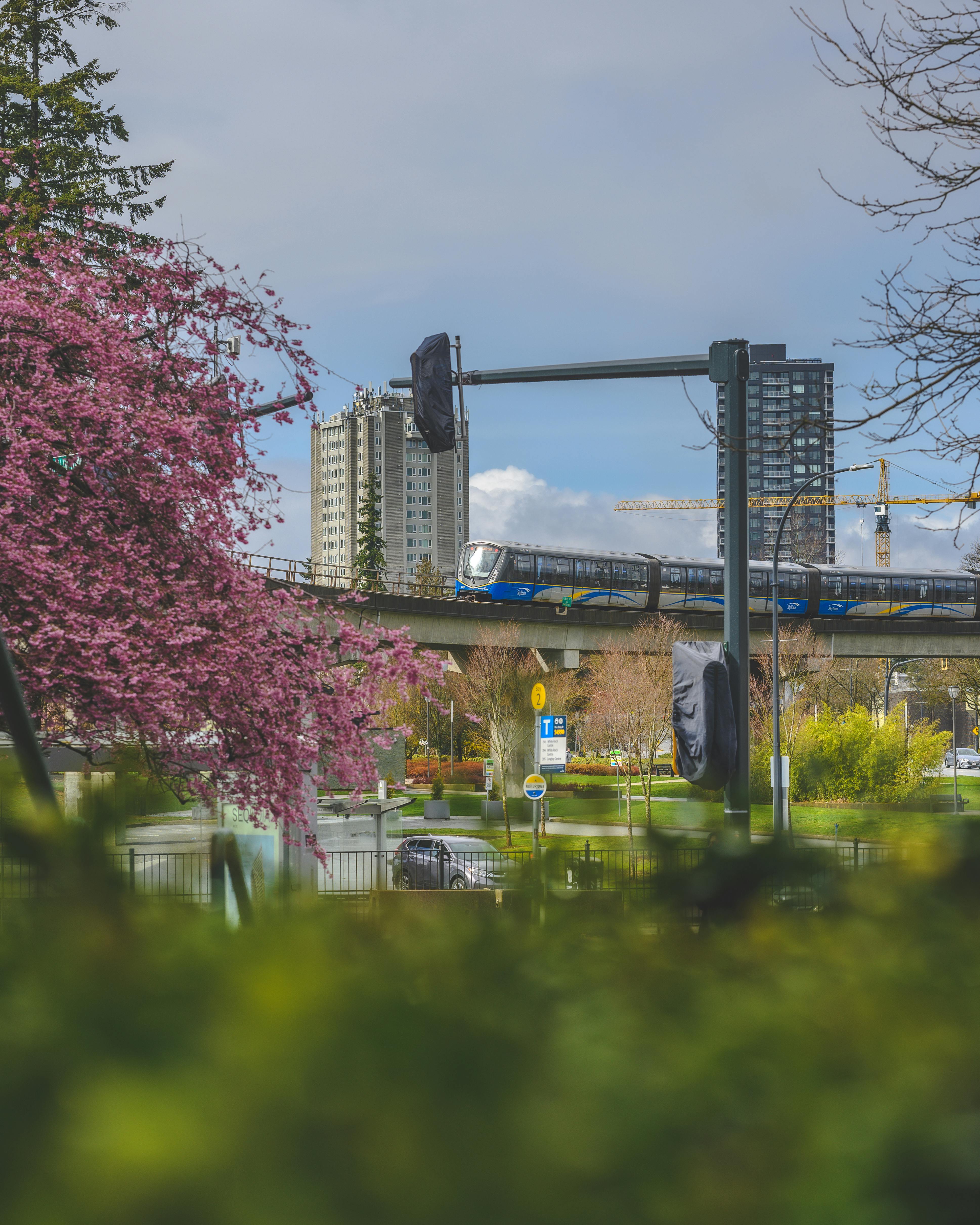 Srinivas Raghavan – Fotografia