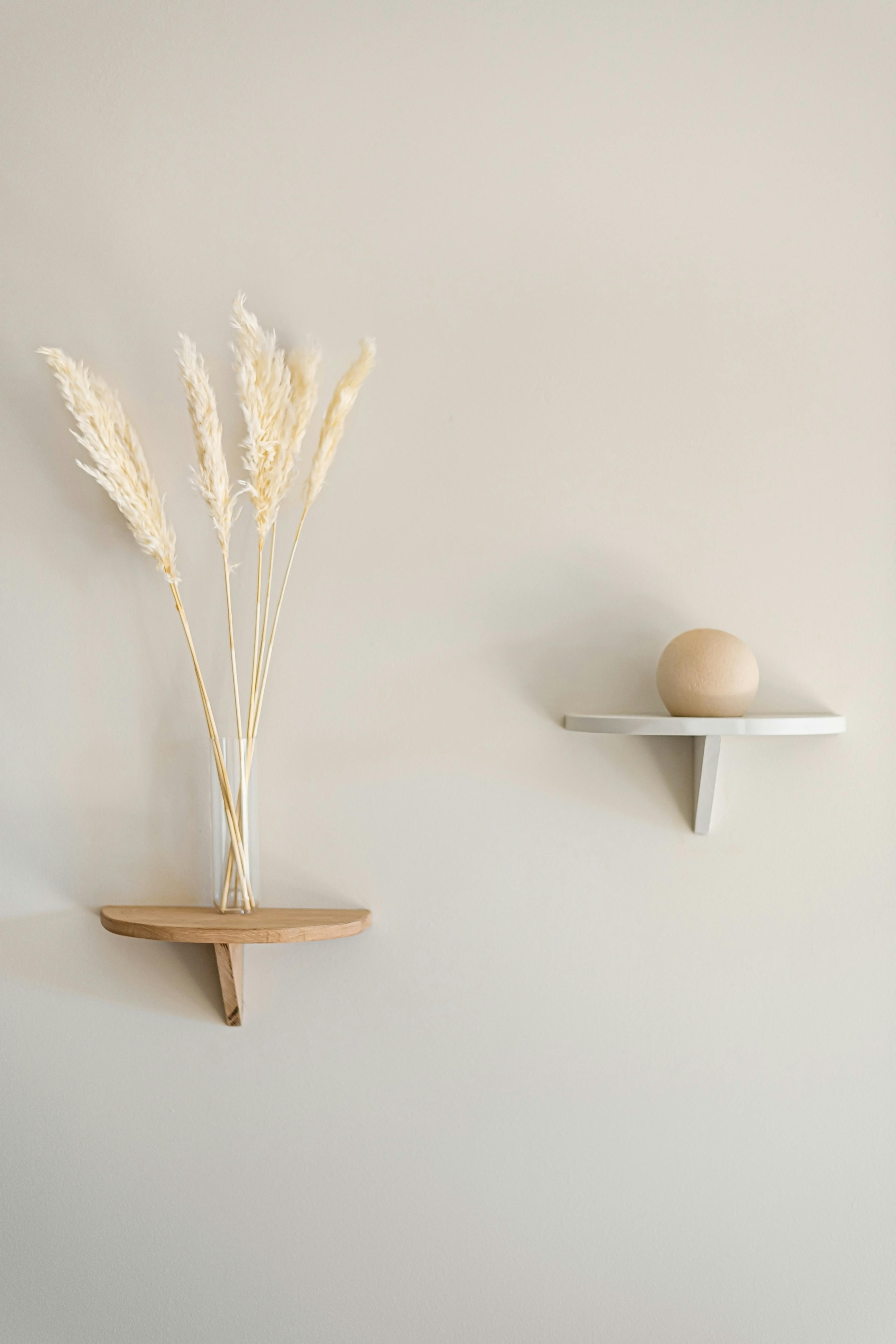 Animated Single Shelf Photos, Download The BEST Free Animated Single ...