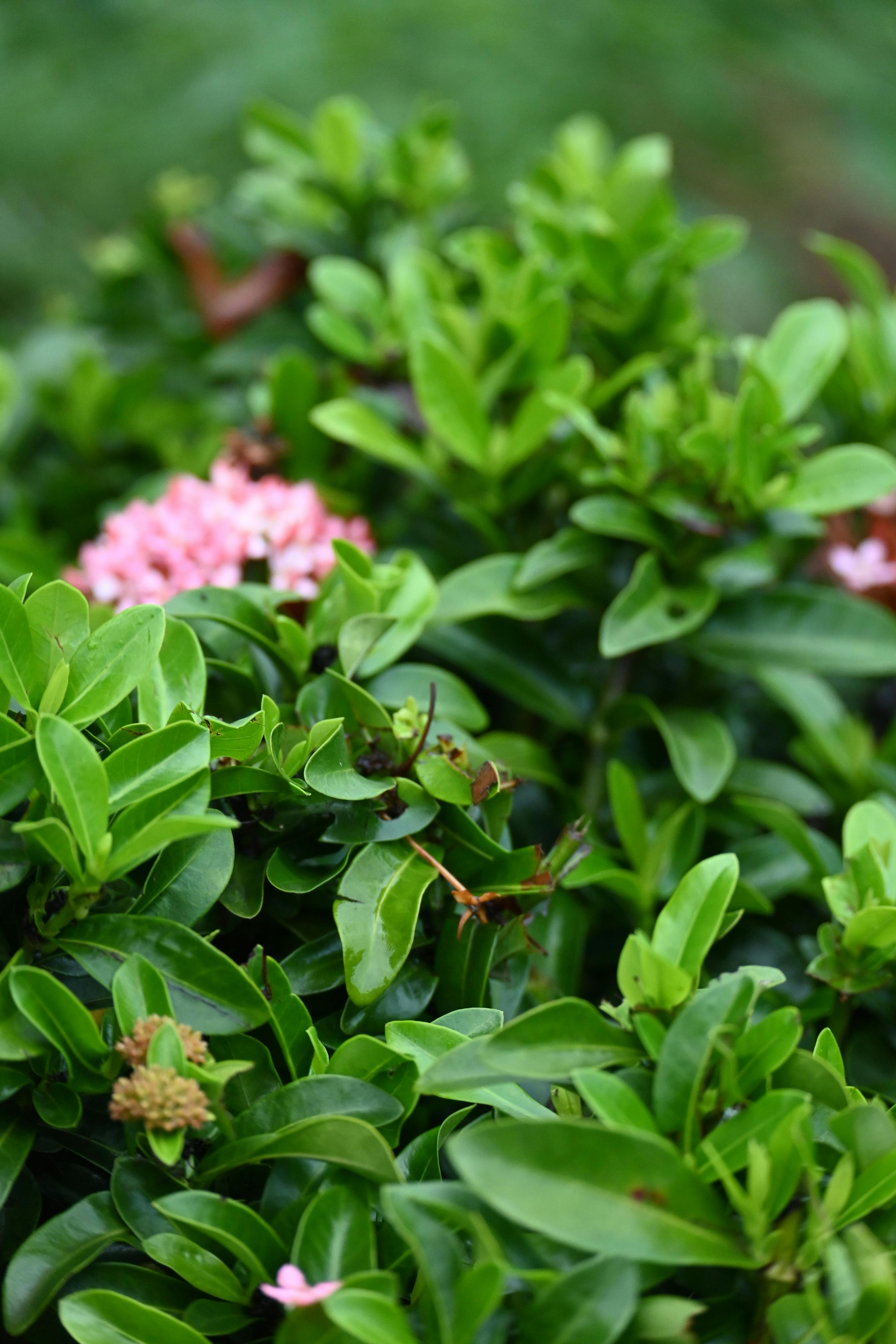 Umesh Patel - Fotografía