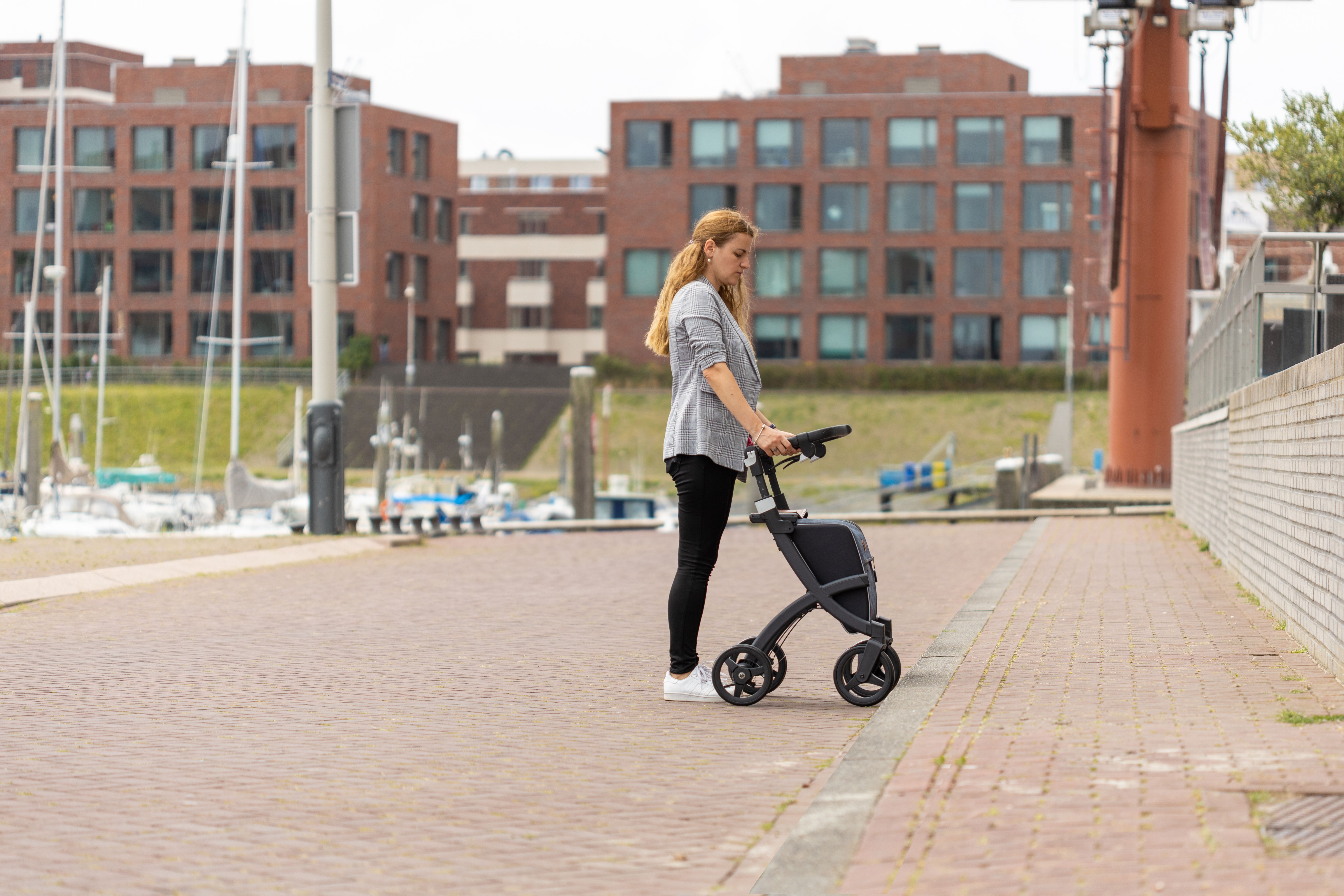 Woman Using Rollator with Shopping Bag · Free Stock Photo