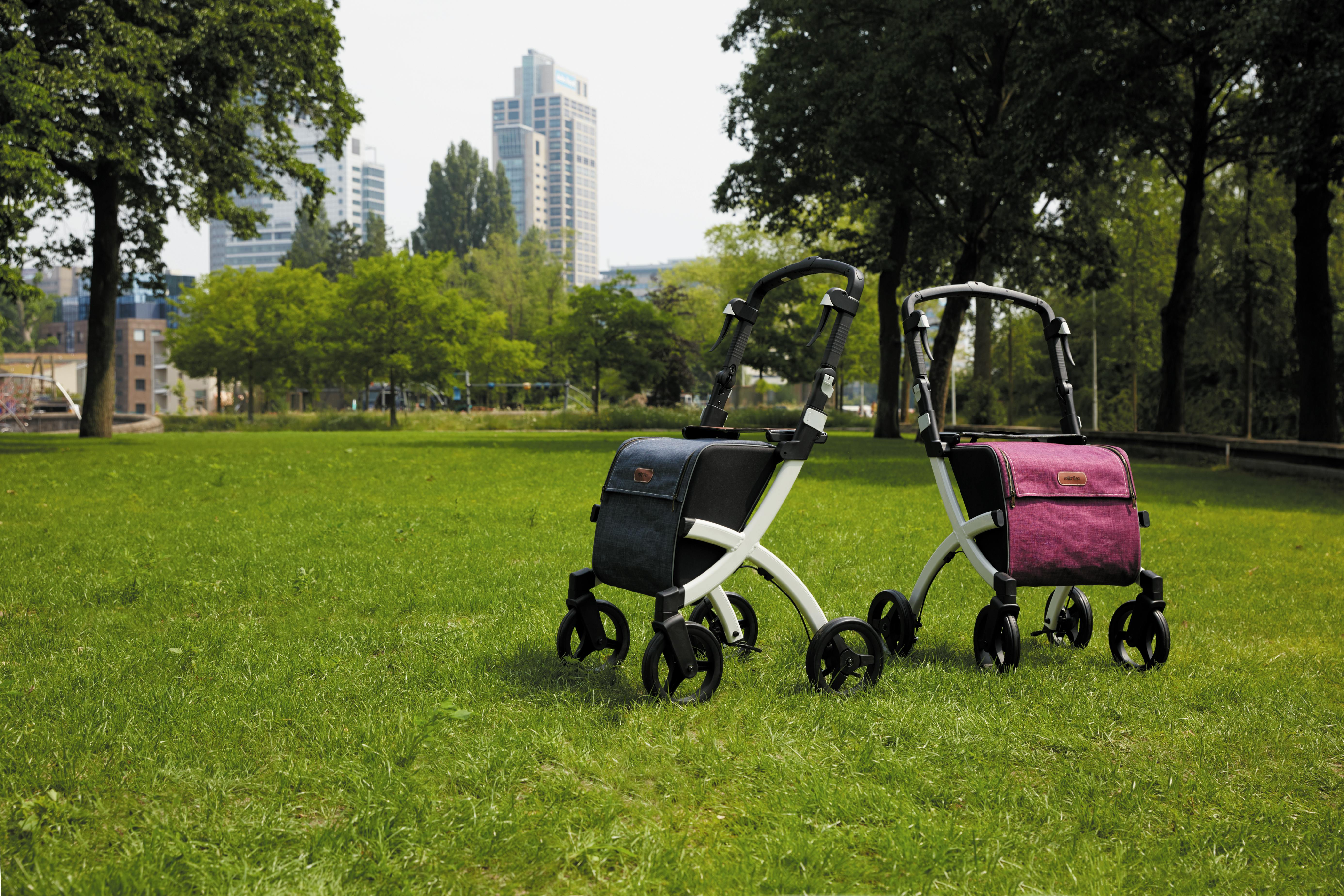 Walkers for Elderly in Green Summer Park · Free Stock Photo
