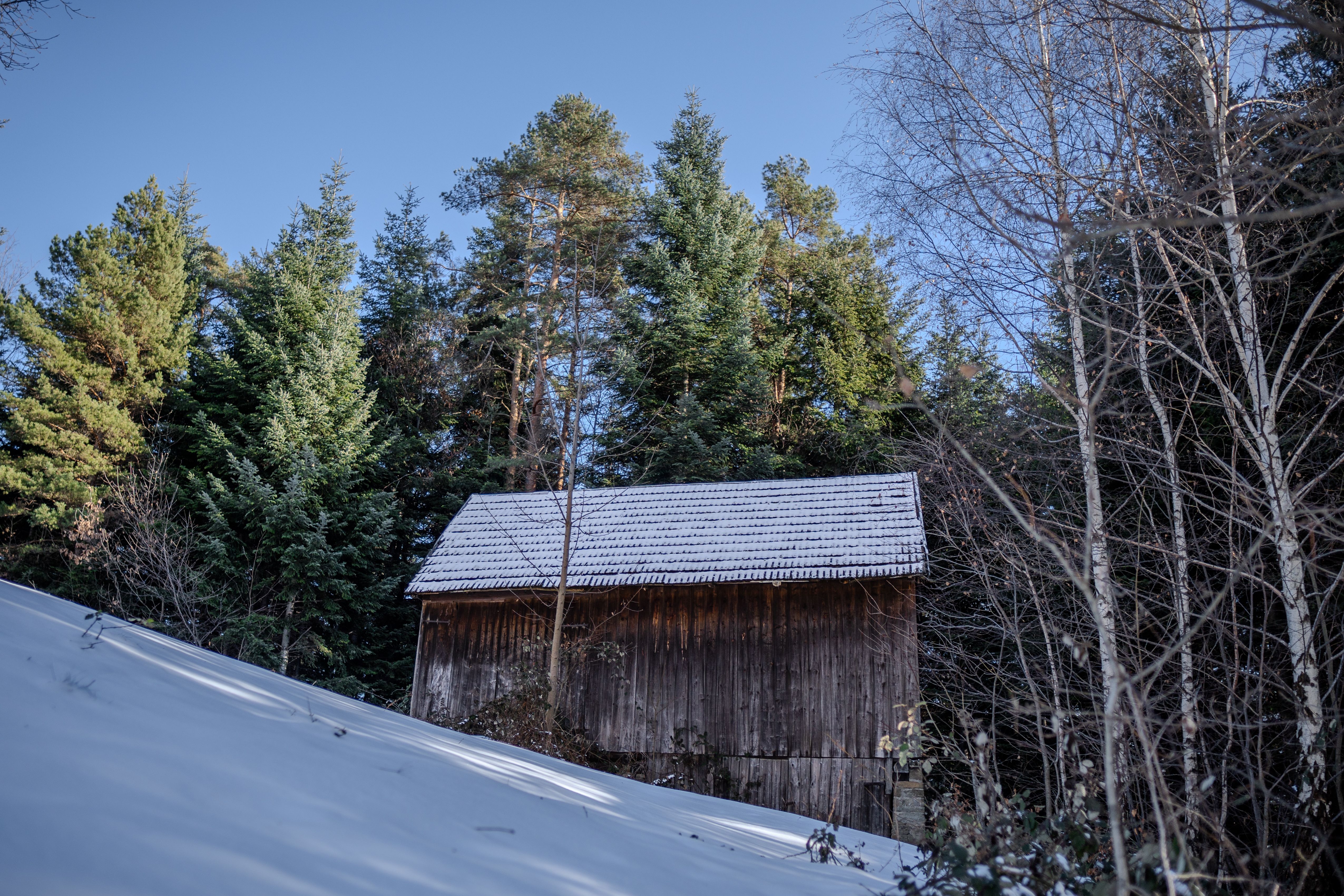 View of a Wooden Hut on a Hill in a Forest in Winter · Free Stock Photo