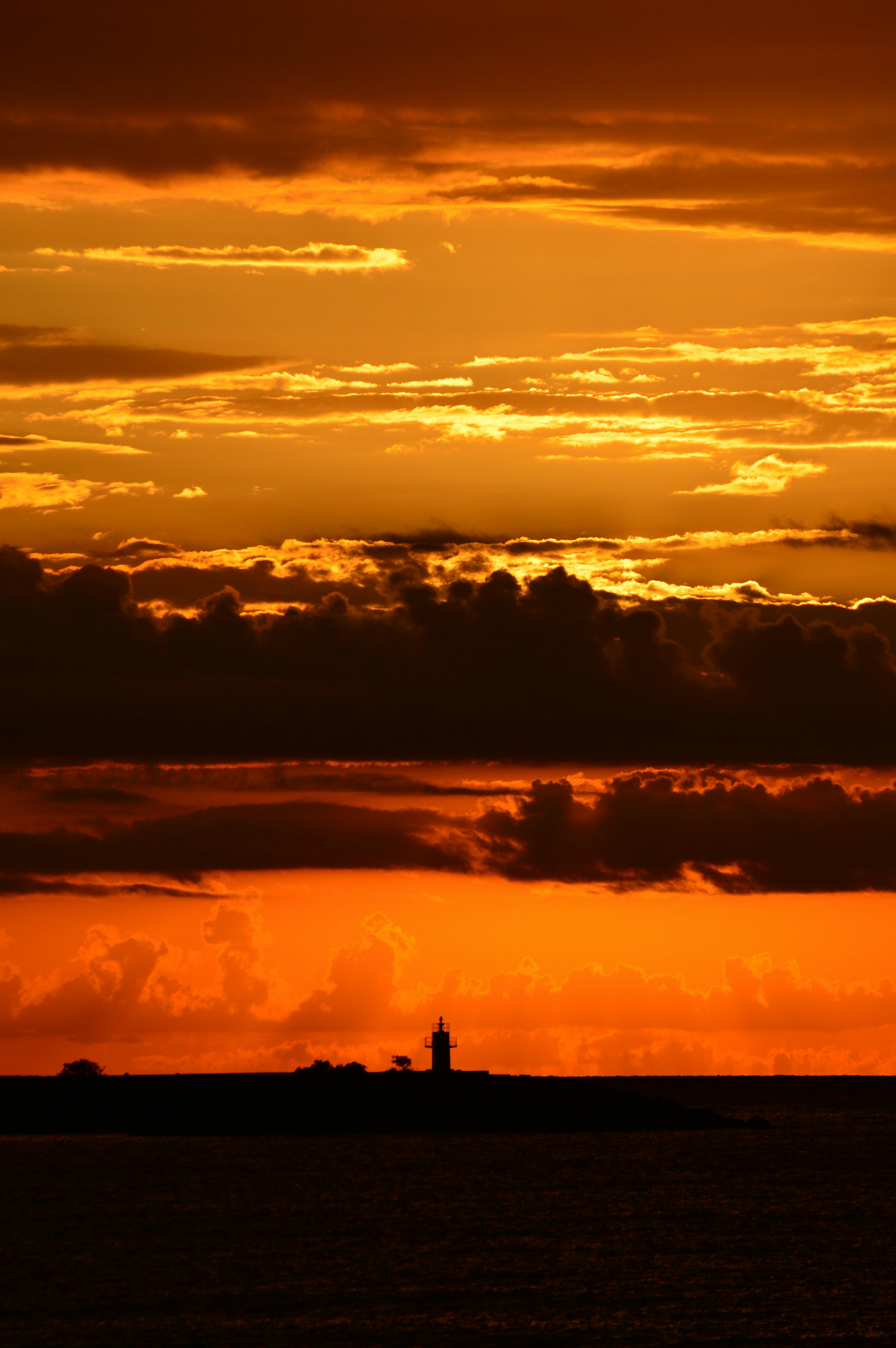 Silhouette of Field During Golden Sunset · Free Stock Photo