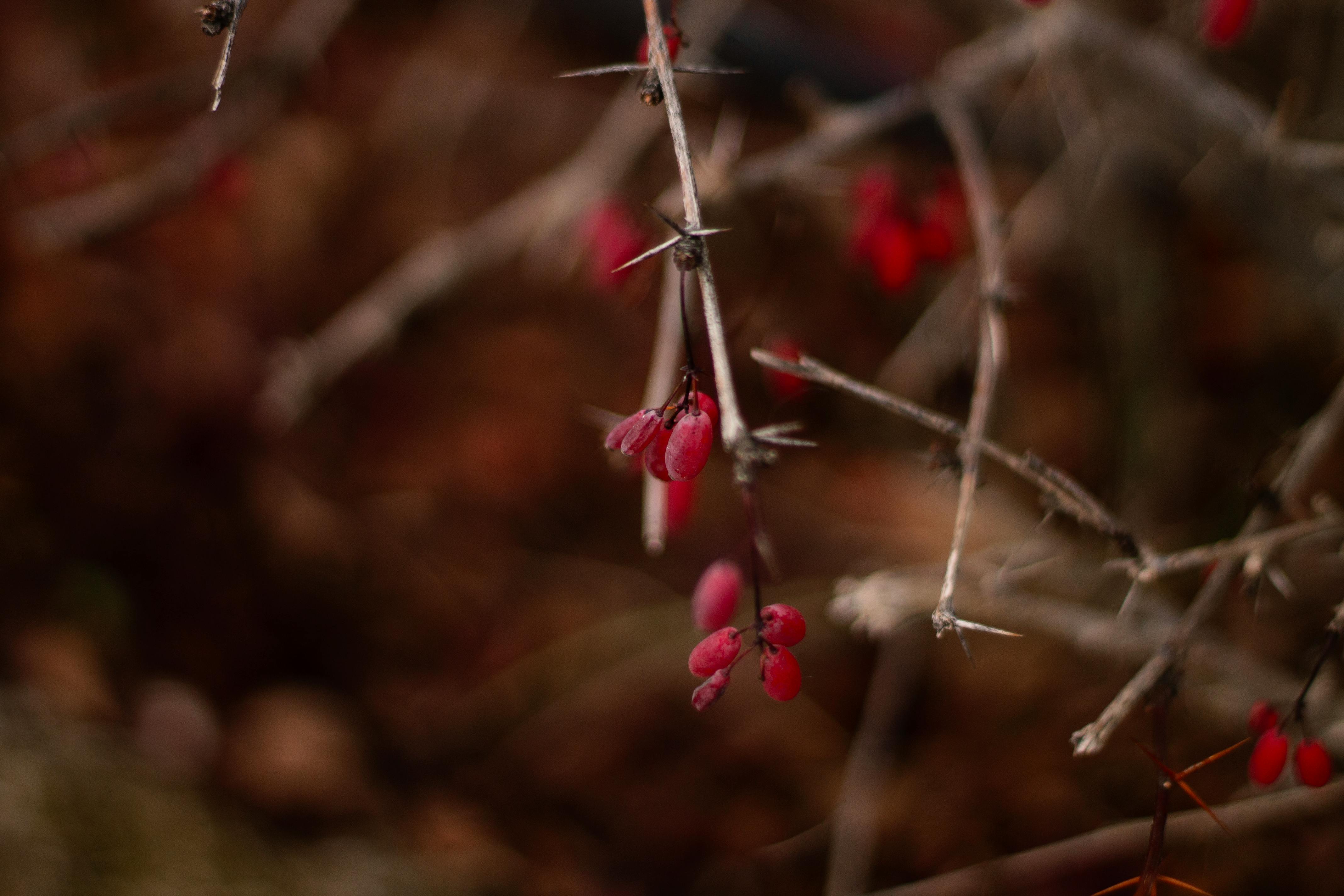 Sarah AlAmeri - Photography