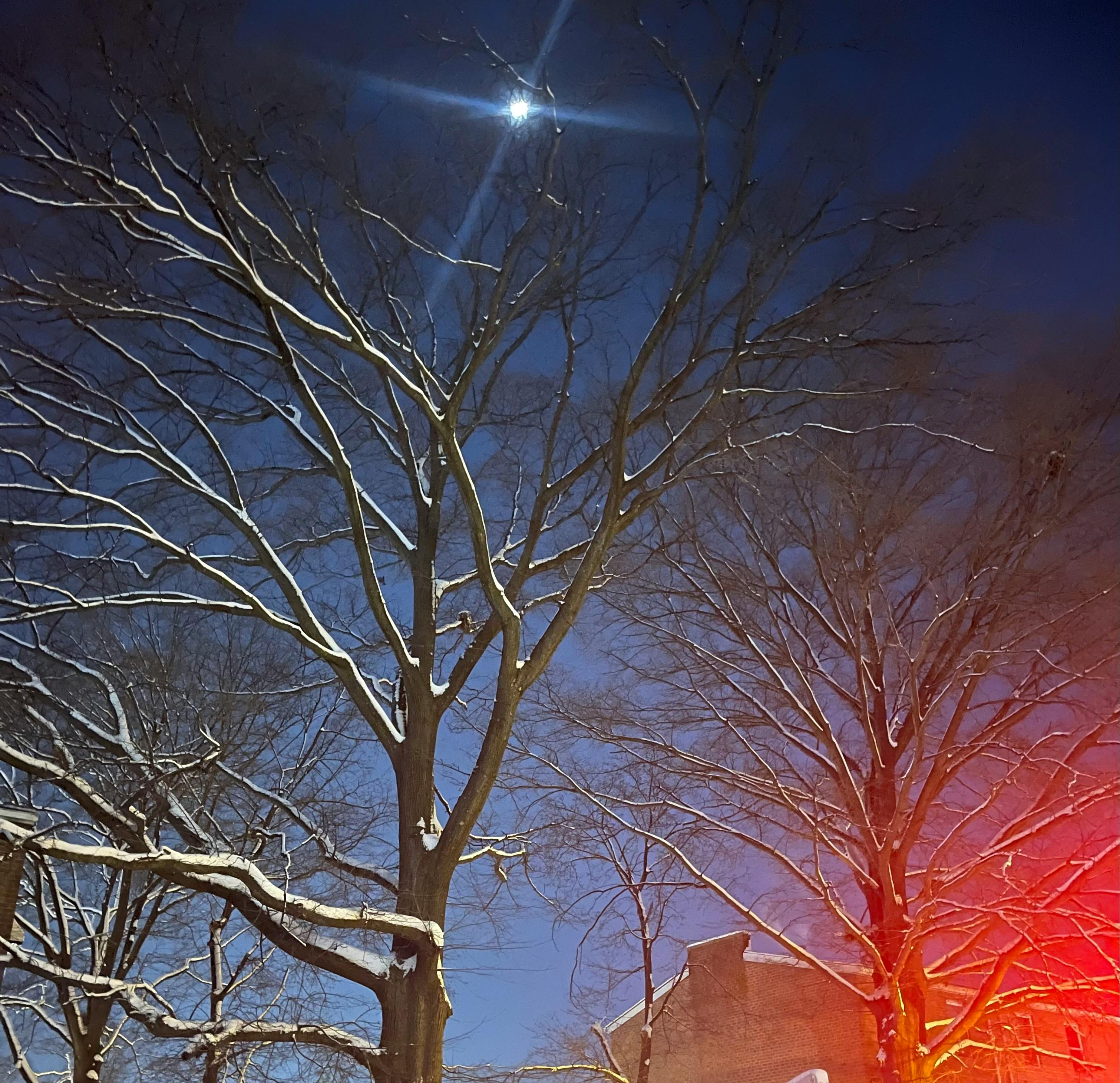 Derrick Robinson - Photography