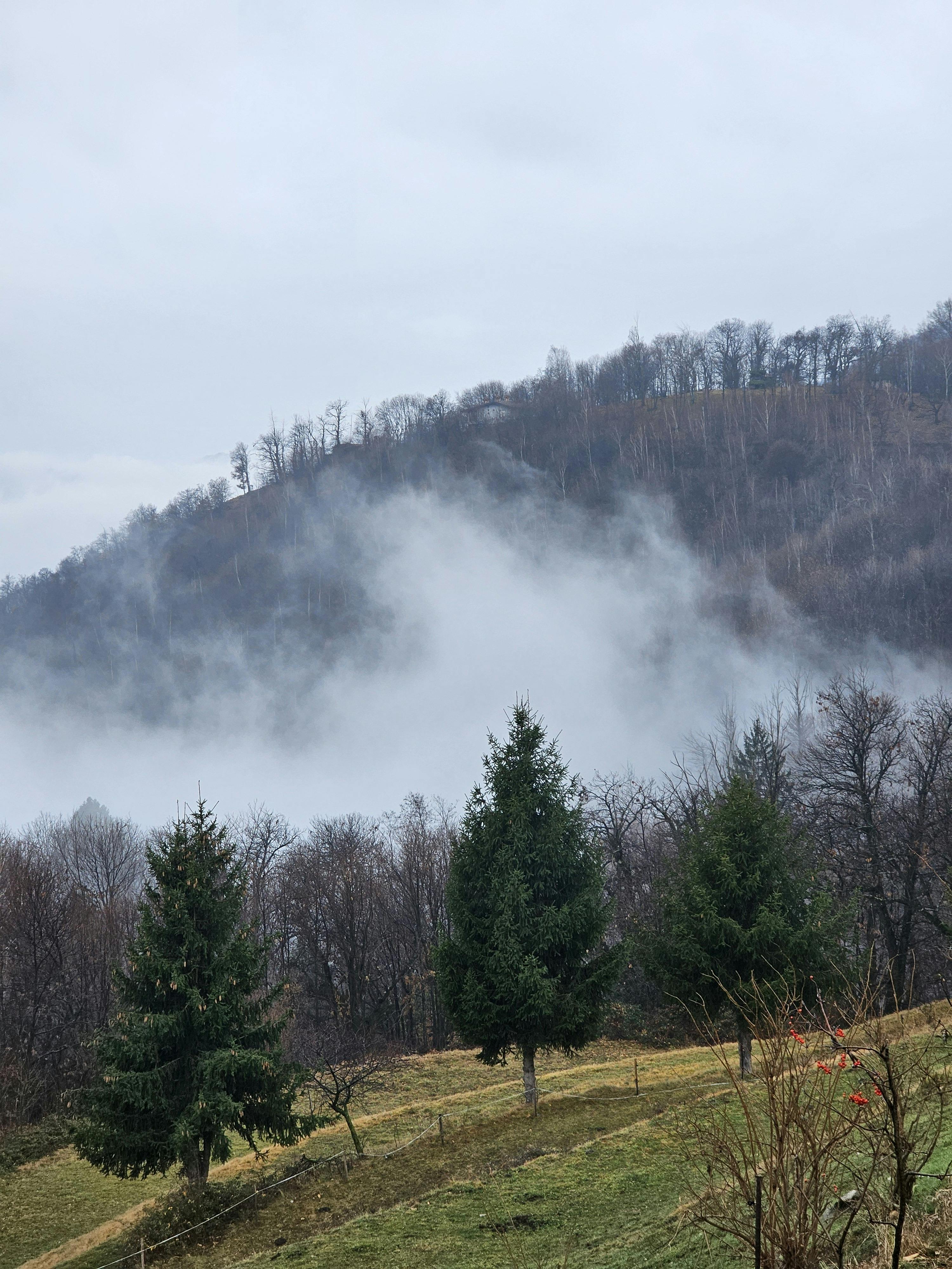 Mist over Forested Hill · meta.free_stock.photo