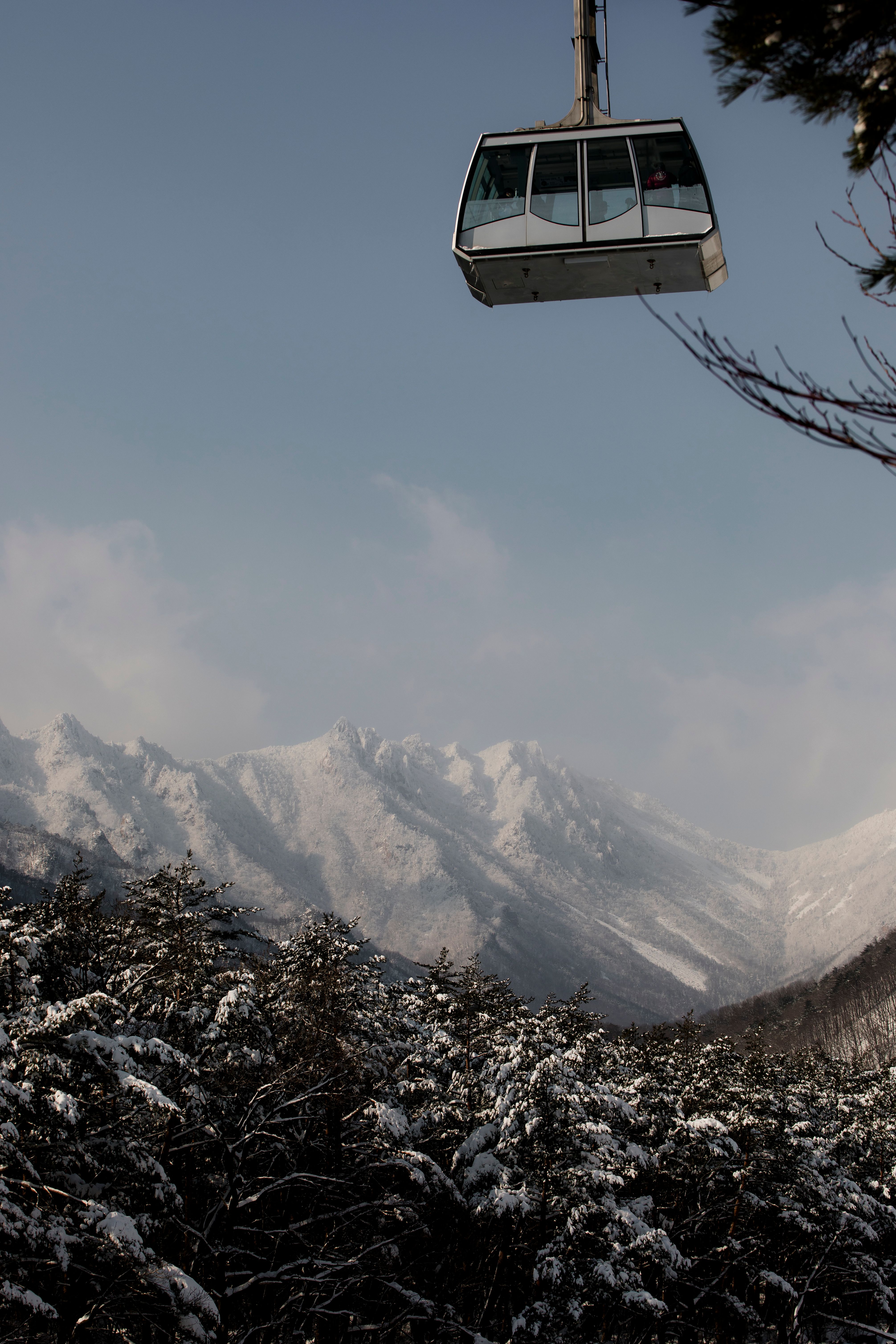 Ski Lift over Forest in Winter · Free Stock Photo