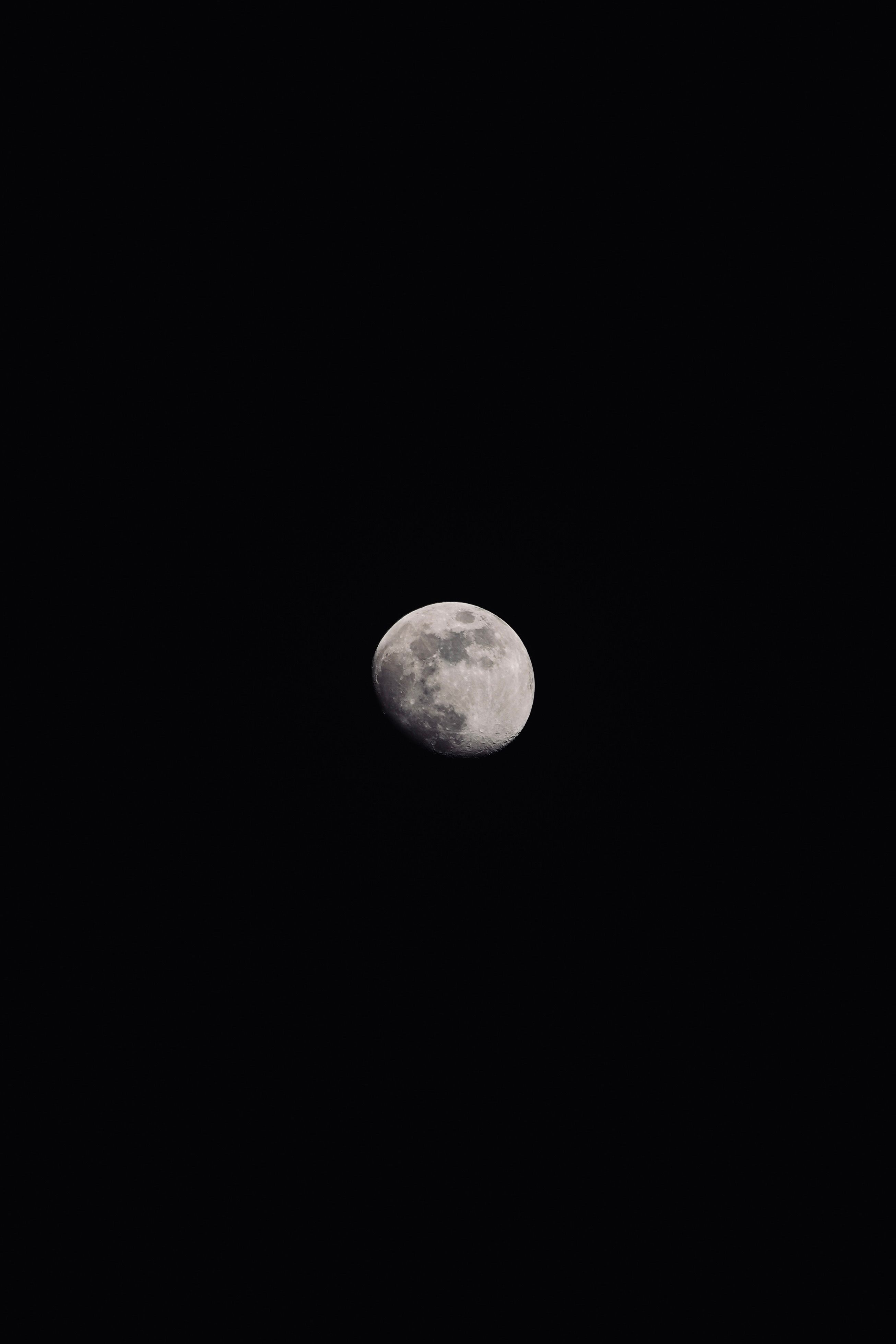 Moon in Black and White · Free Stock Photo