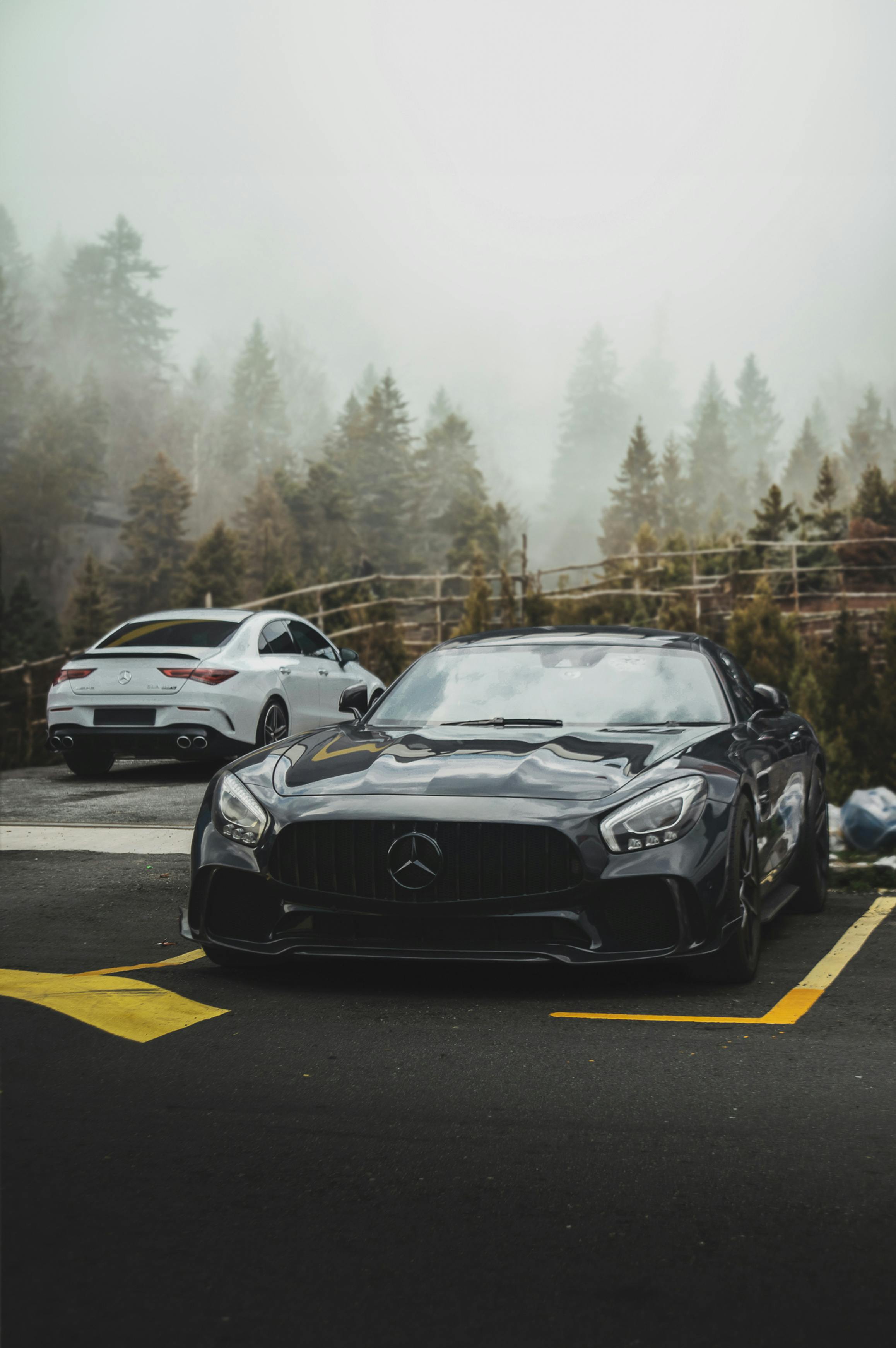 Black Mercedes Surrounded by a Forest · Free Stock Photo