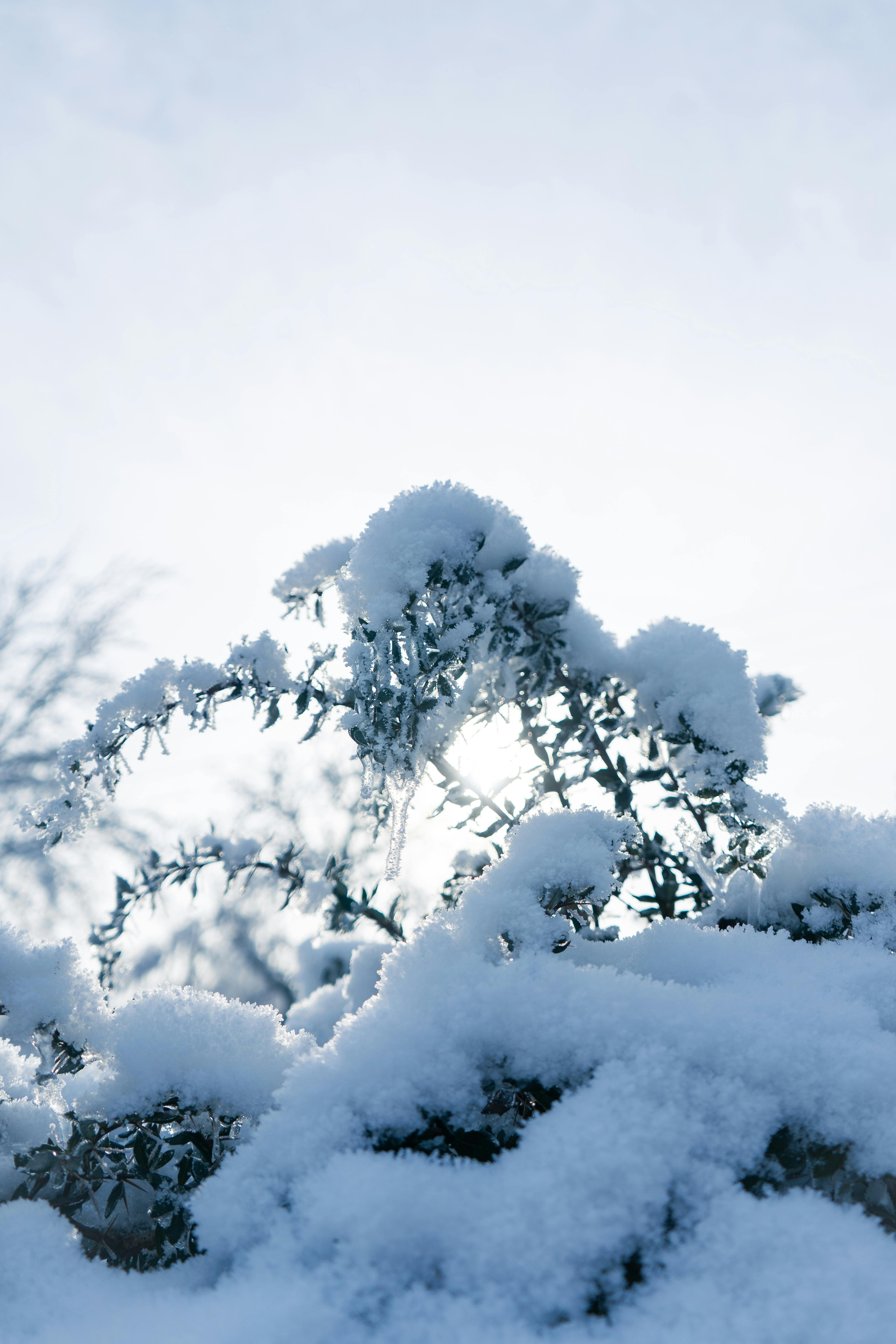 Think Snow on the Side of the Road · Free Stock Photo
