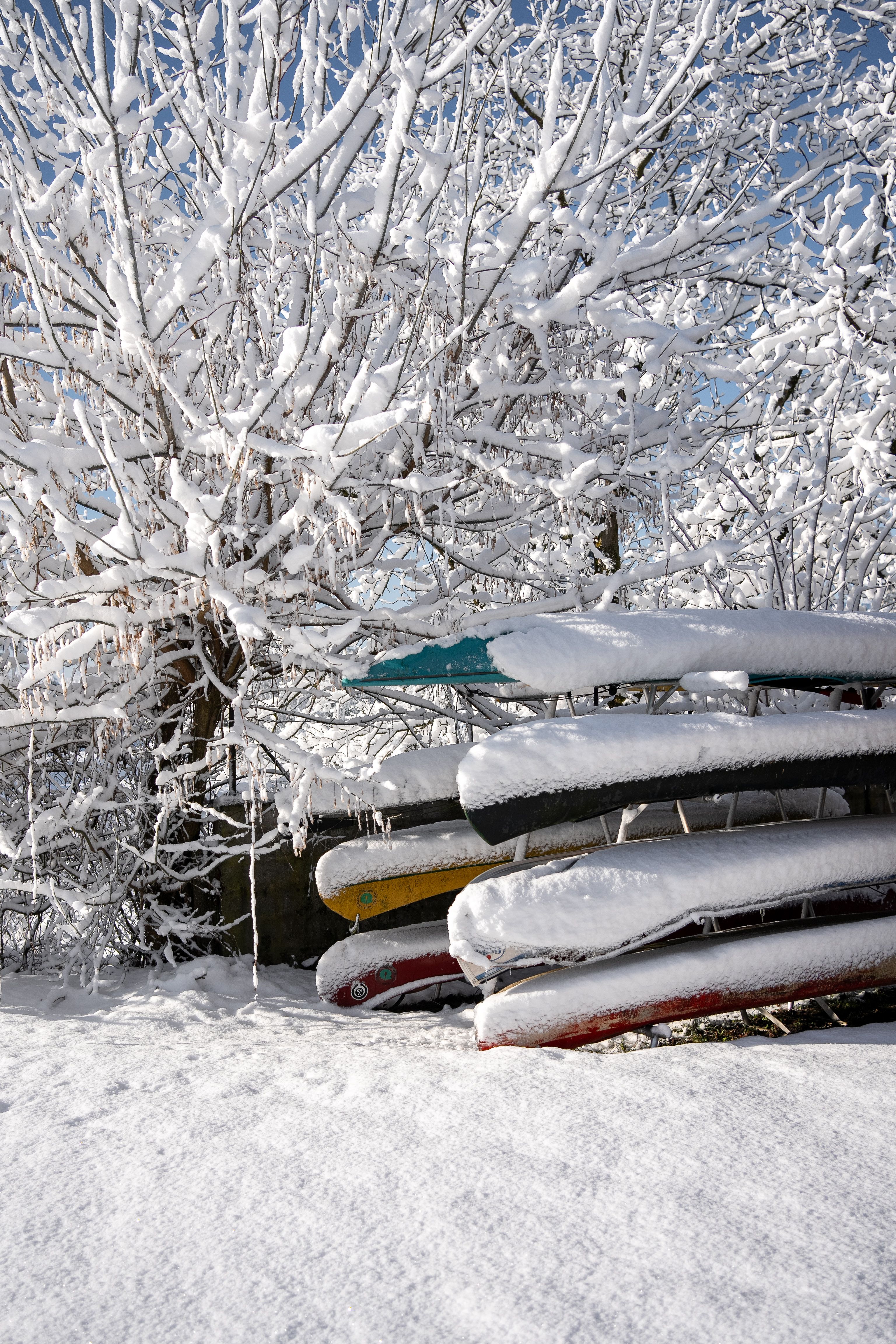 Snow on Stored Canoes · Free Stock Photo