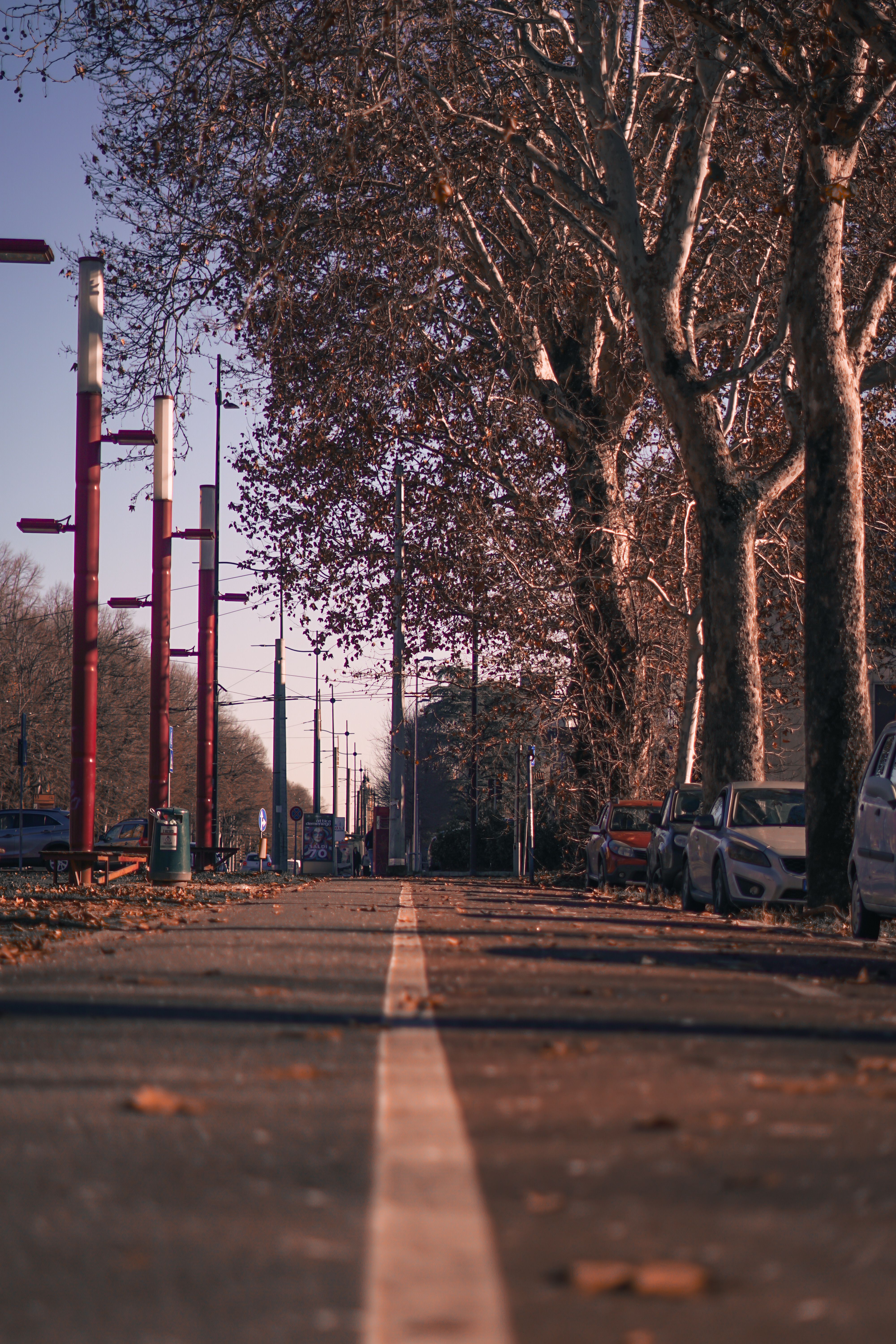 A street with trees and a street light · Free Stock Photo