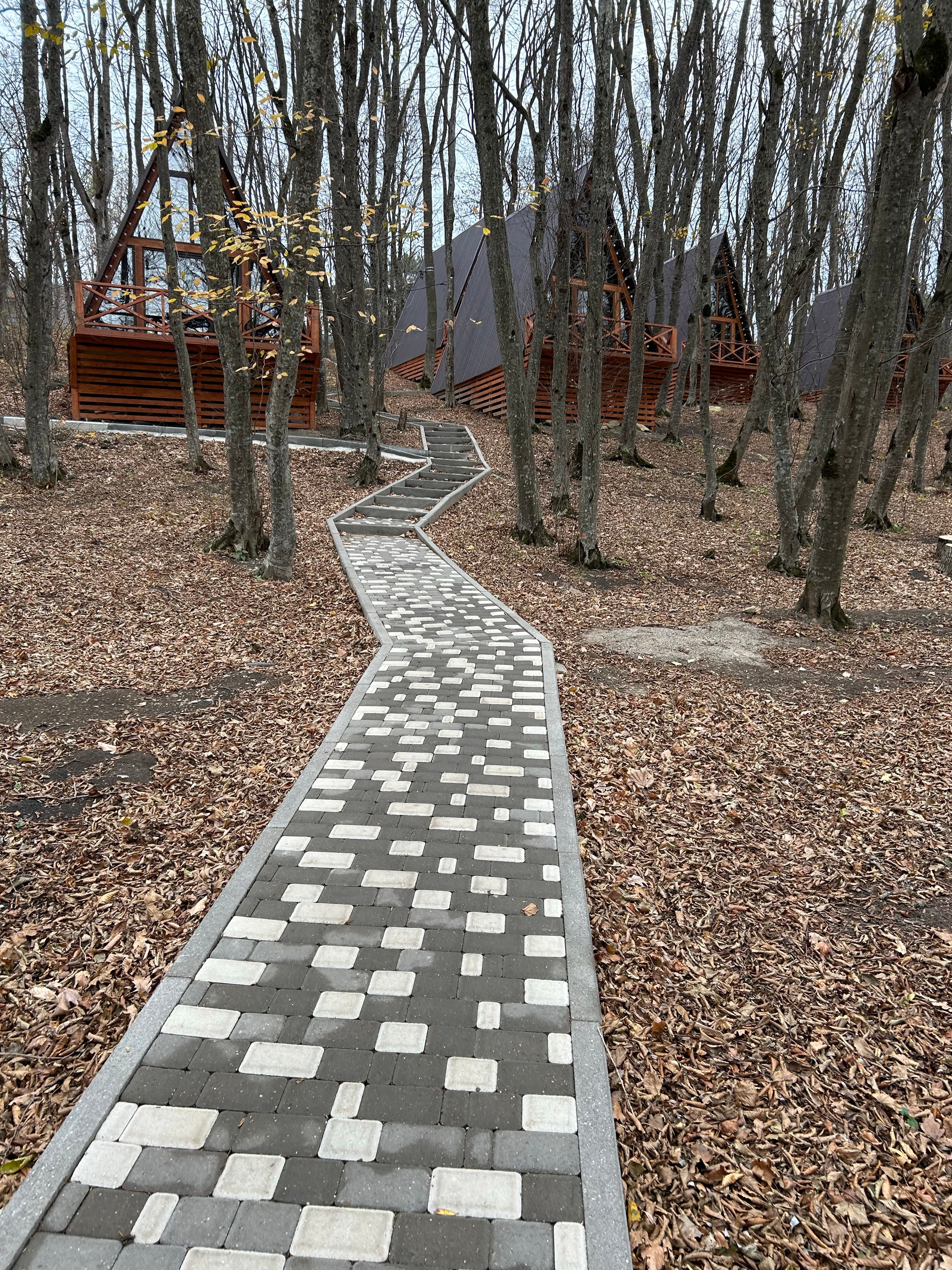 Pavement towards Wooden Houses in Forest · Free Stock Photo