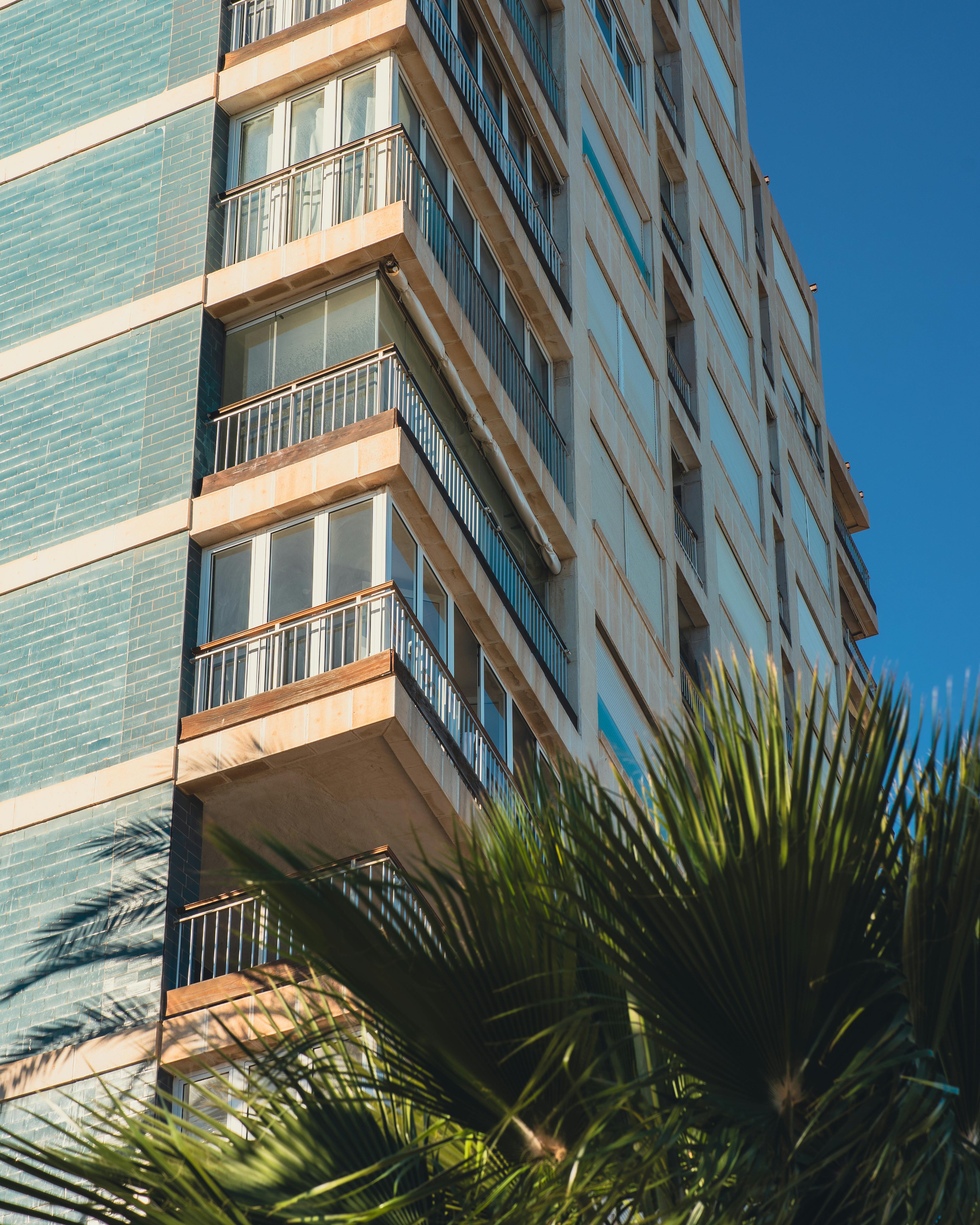 Tree Beside Building · Free Stock Photo