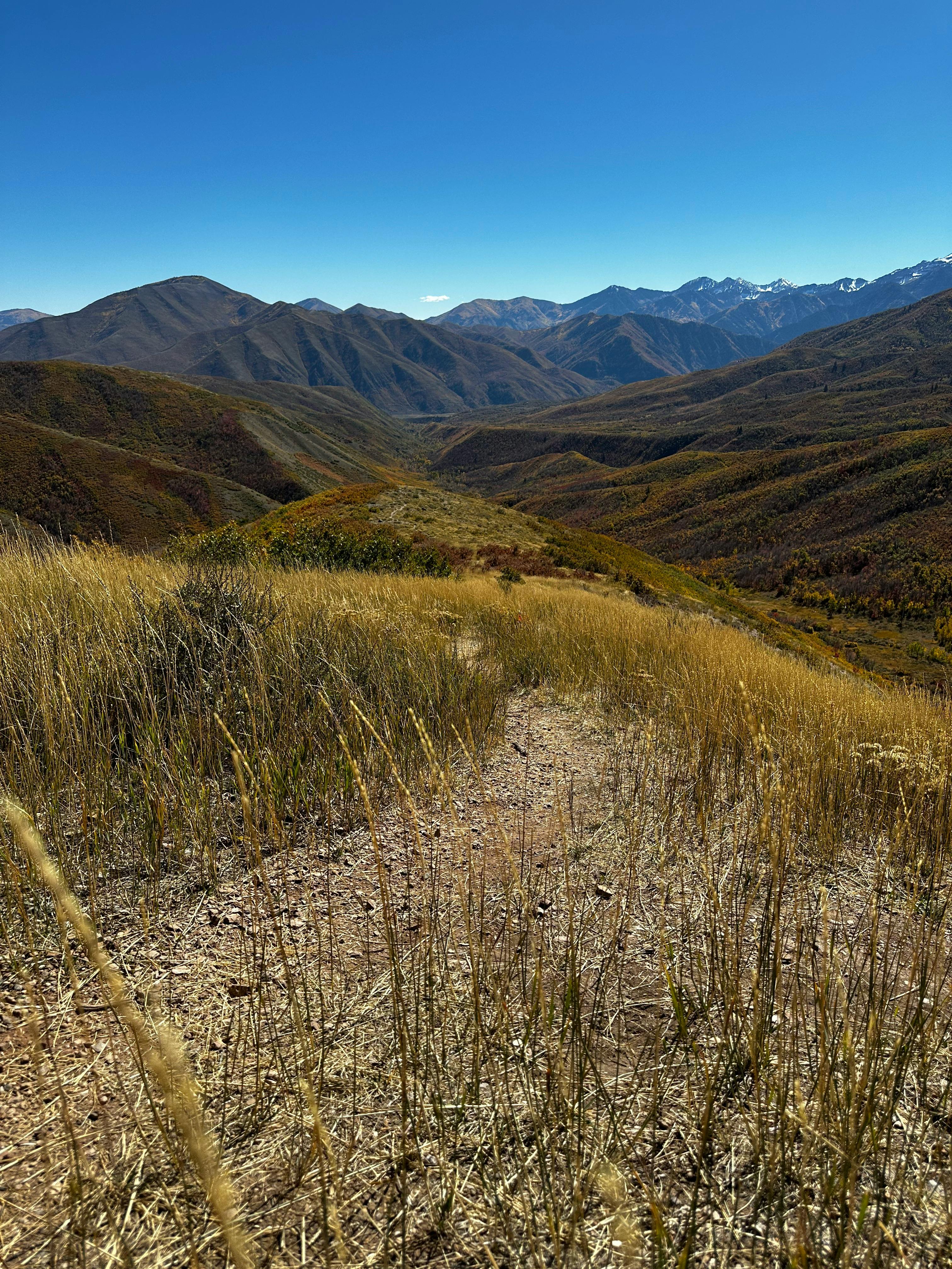 Tate Stephens - 写真