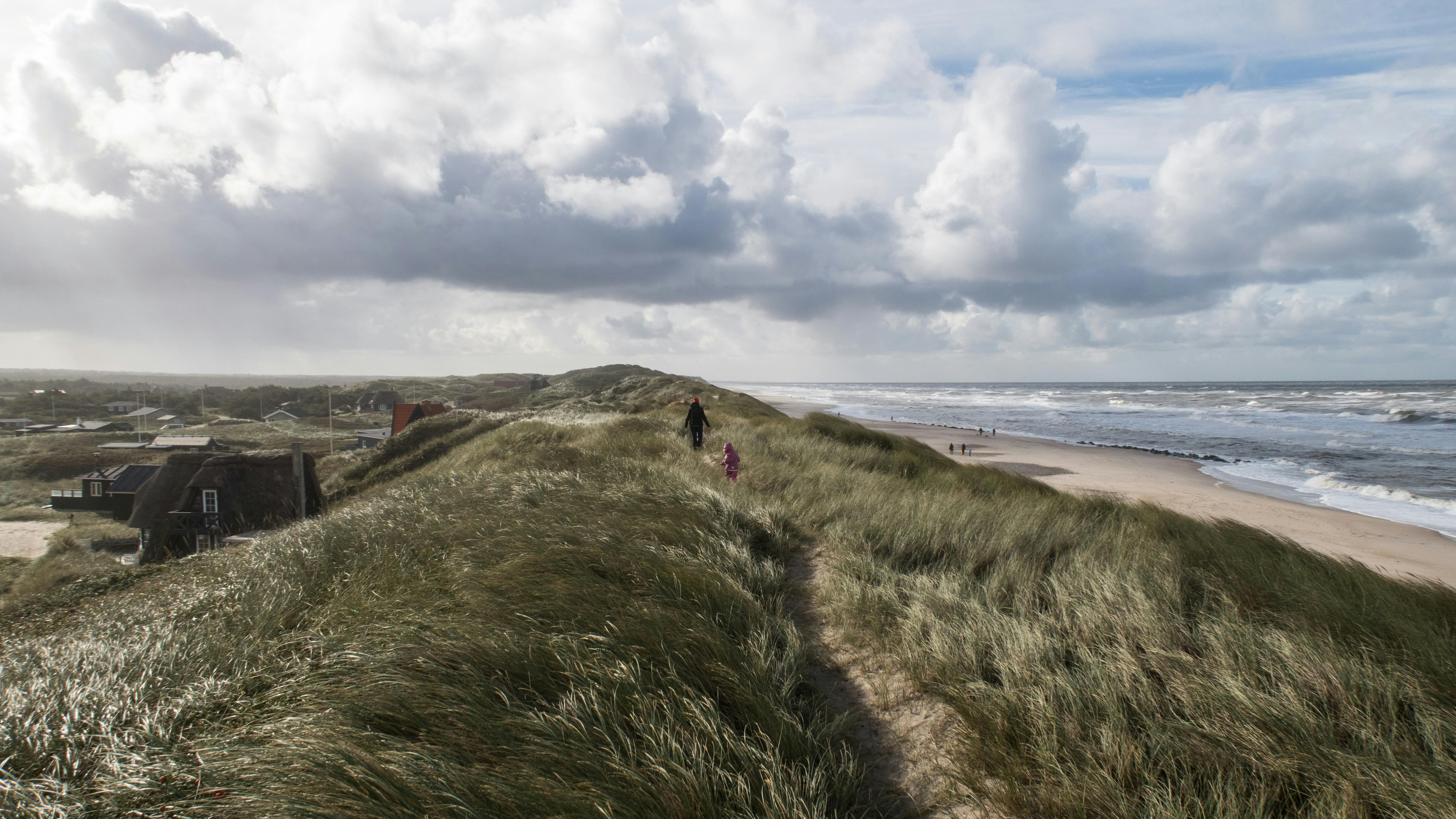 People Walking on the Grass on a Beach under a Cloudy Sky · Free Stock ...