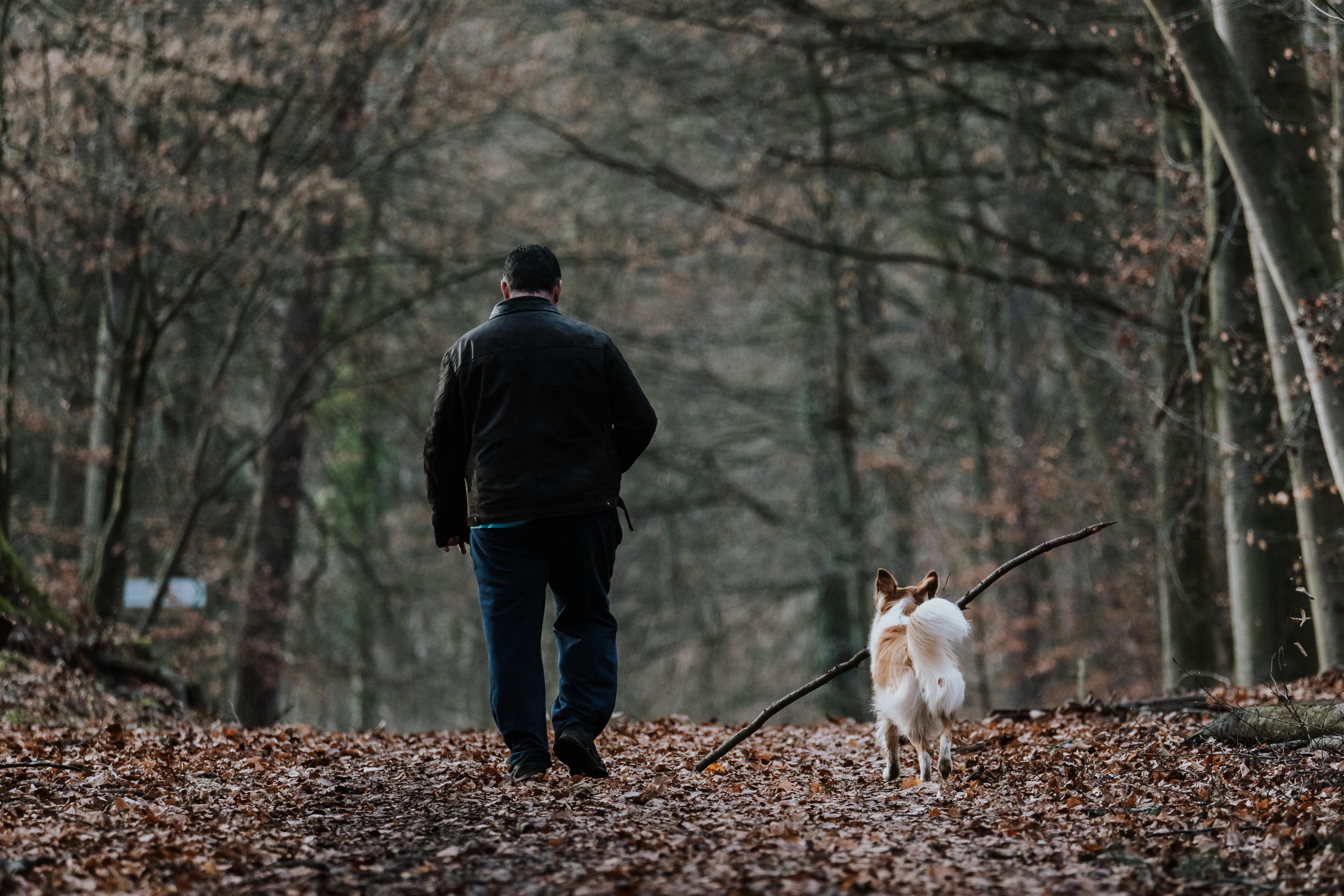 Man Walking His Dog in Autumn Park · Free Stock Photo