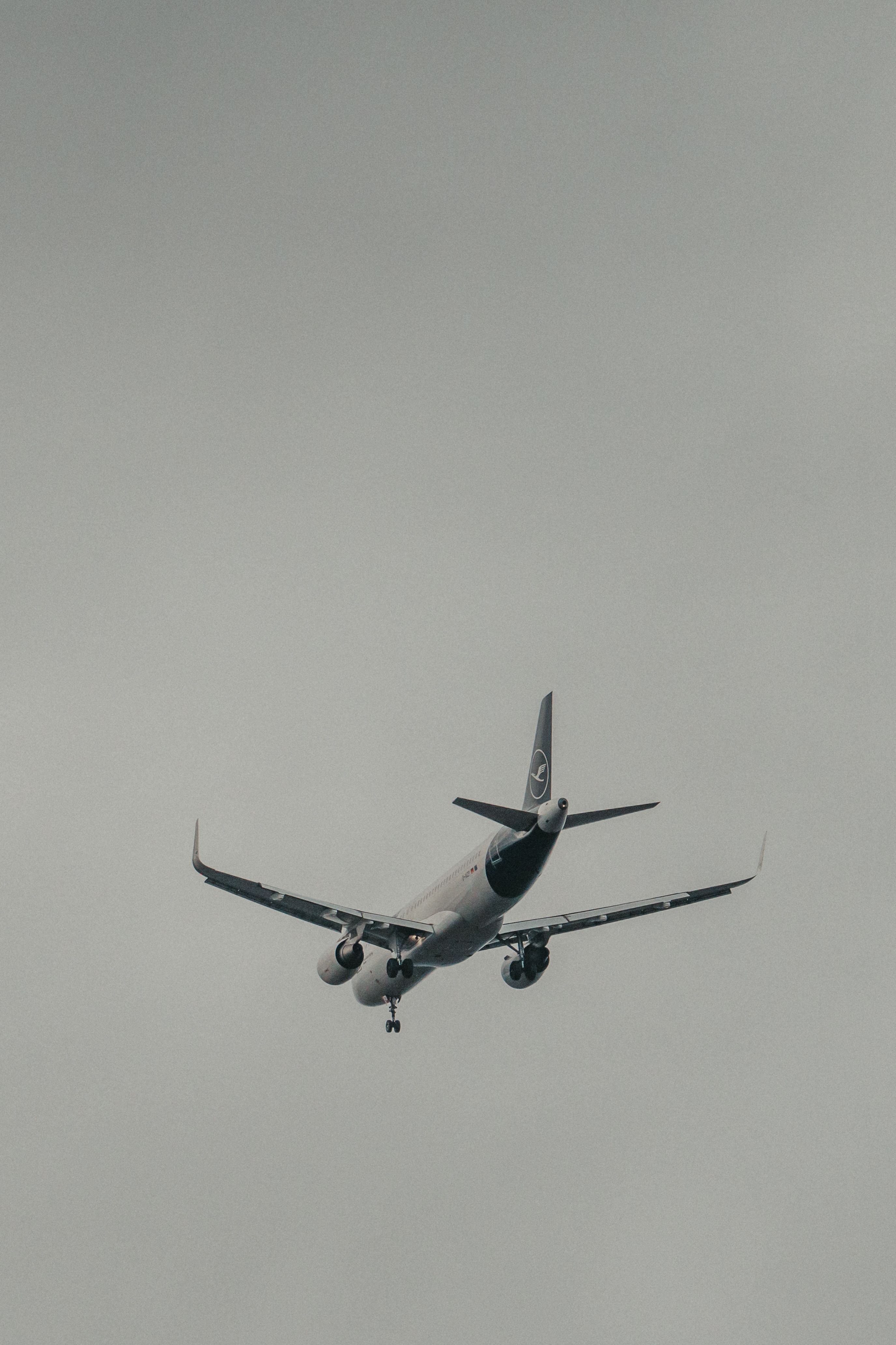 Airplane in Gray Sky · Free Stock Photo