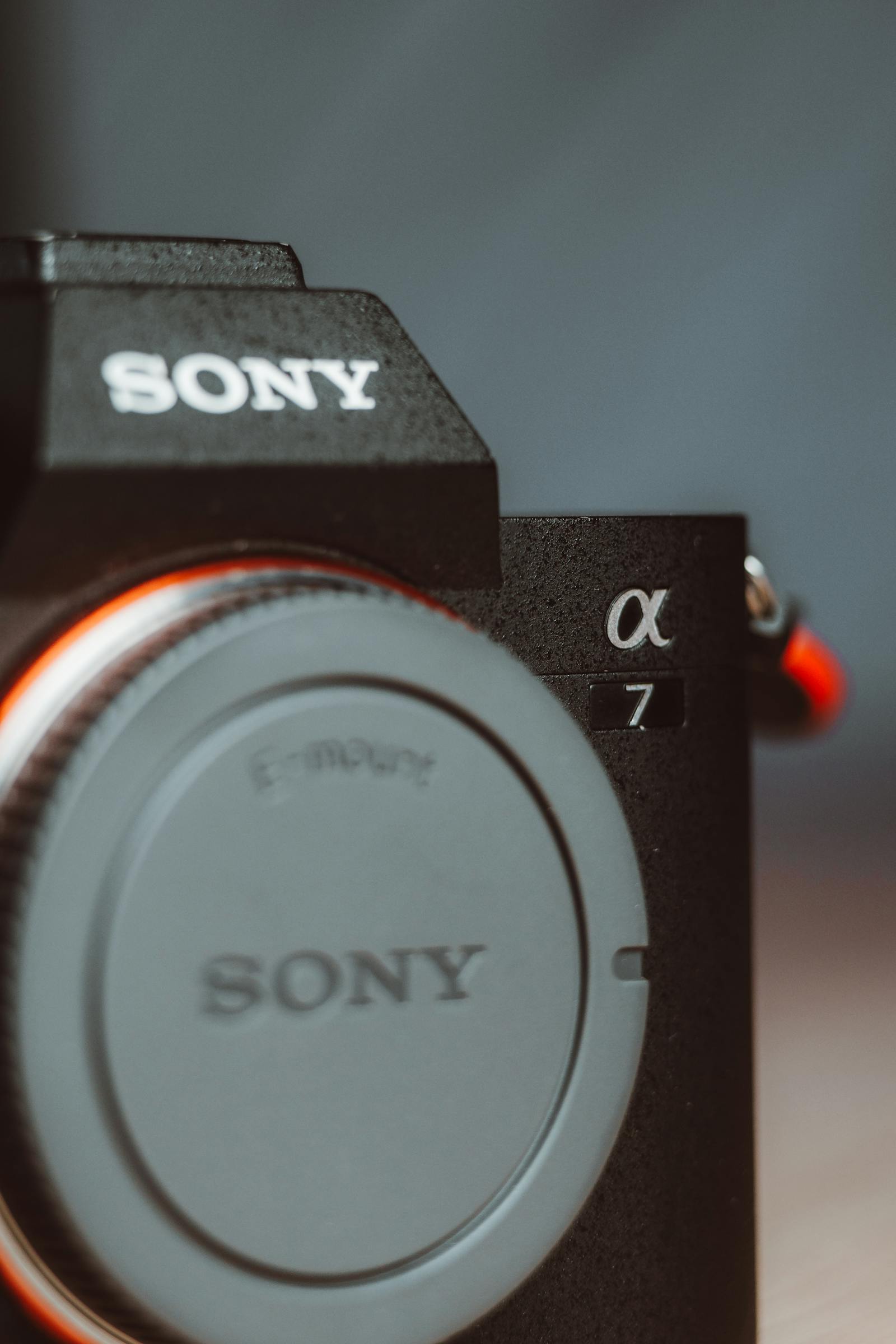 Digital Assets Photos, Download The BEST Free Digital Assets Stock ...