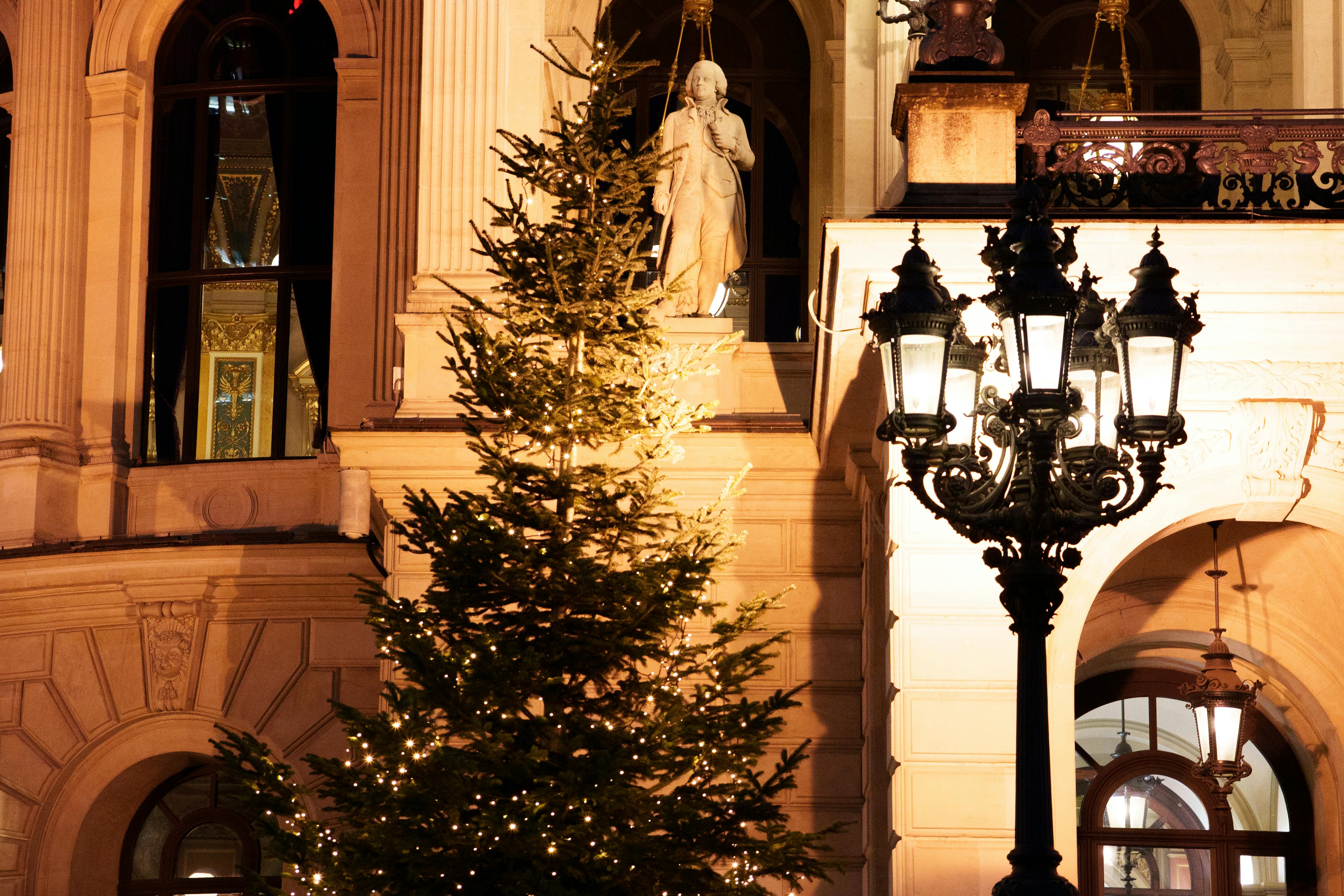 Christmas Tree near Building Wall at Night · Free Stock Photo