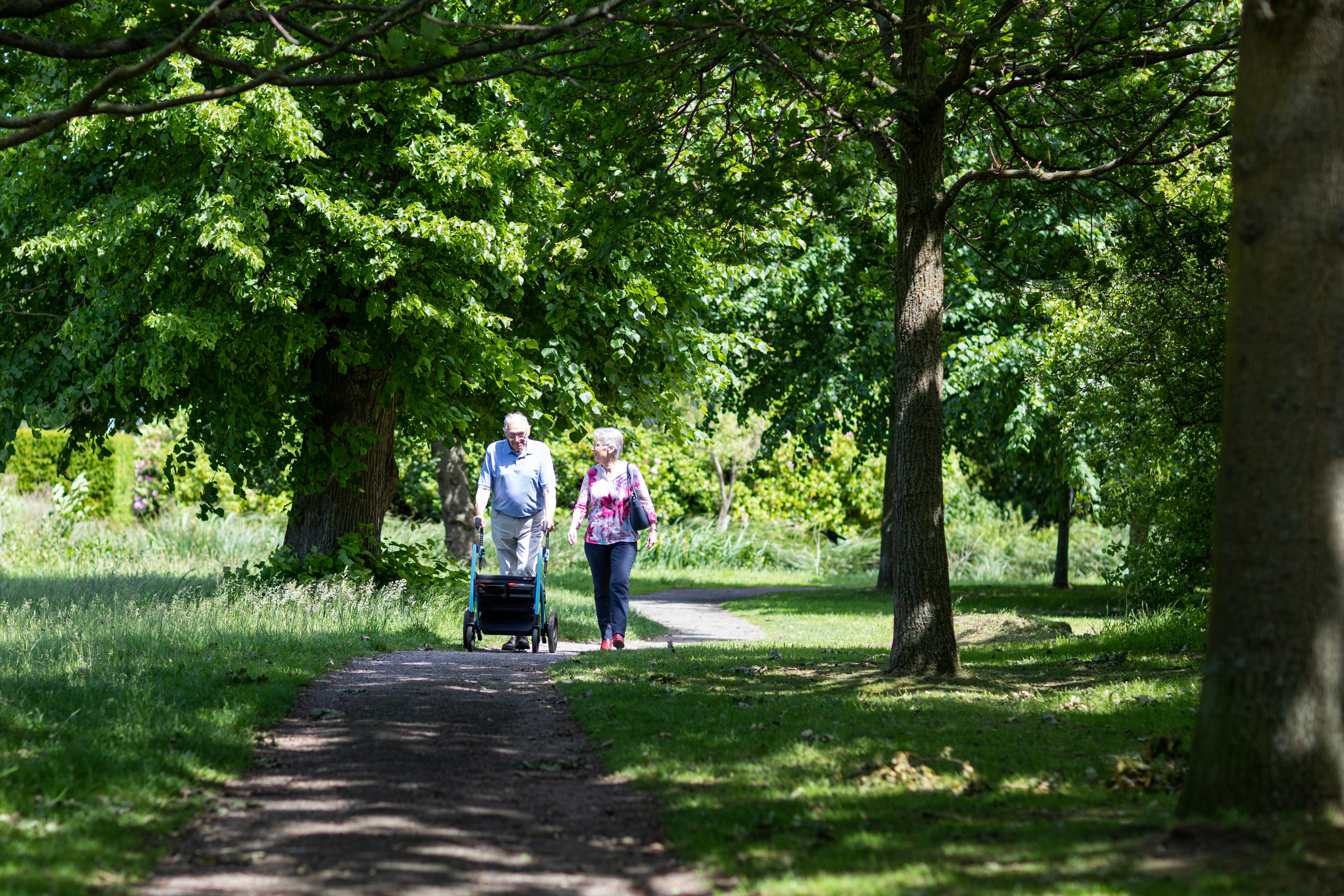 Two People Standing in Forest · Free Stock Photo