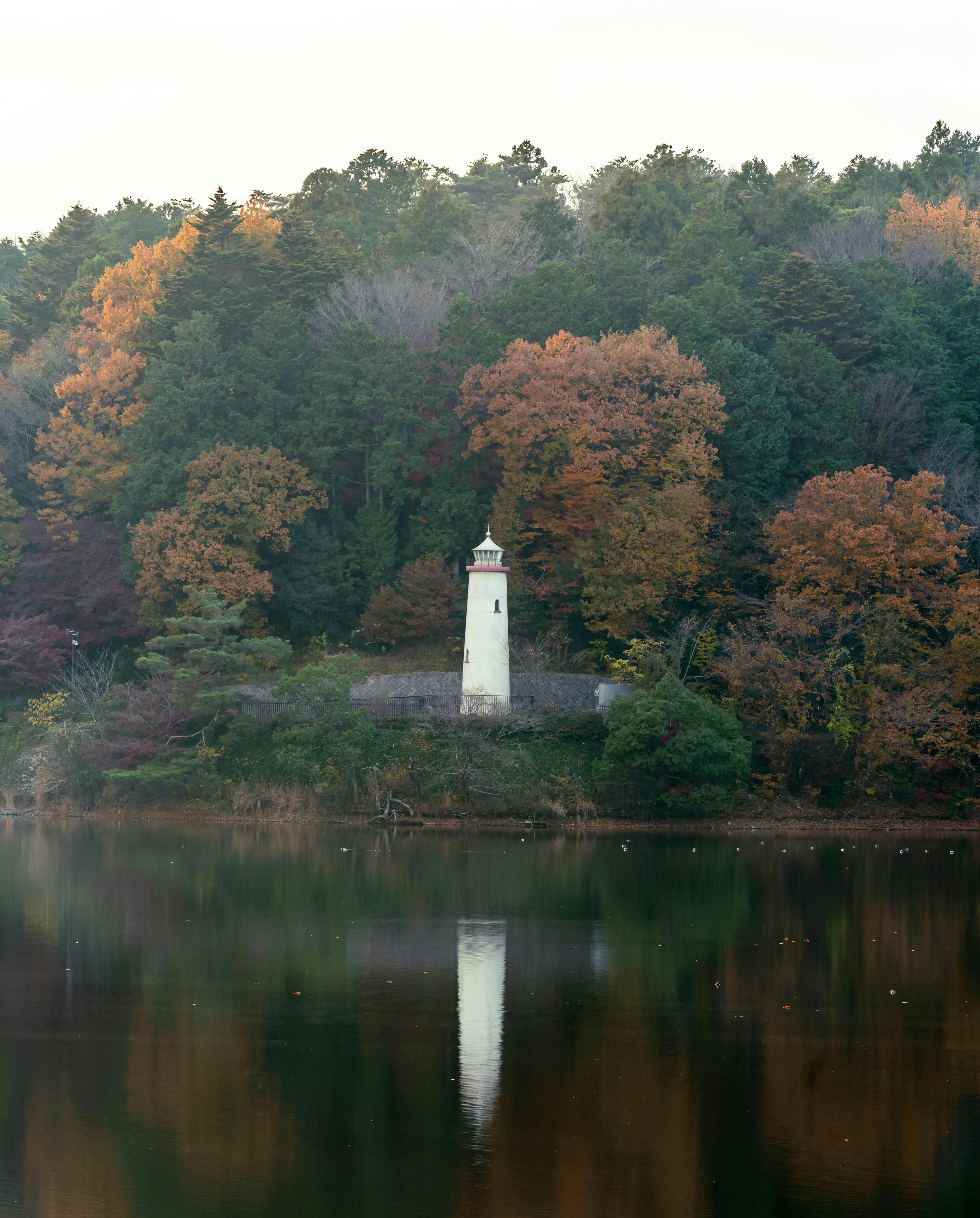 Autumn Background Lighthouse Photos, Download The BEST Free Autumn ...