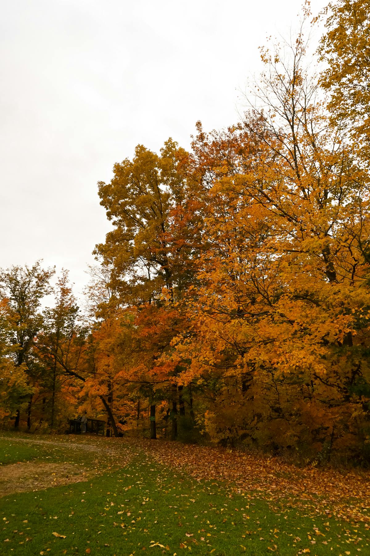 Fall Autumn Photos, Download The BEST Free Fall Autumn Stock Photos ...