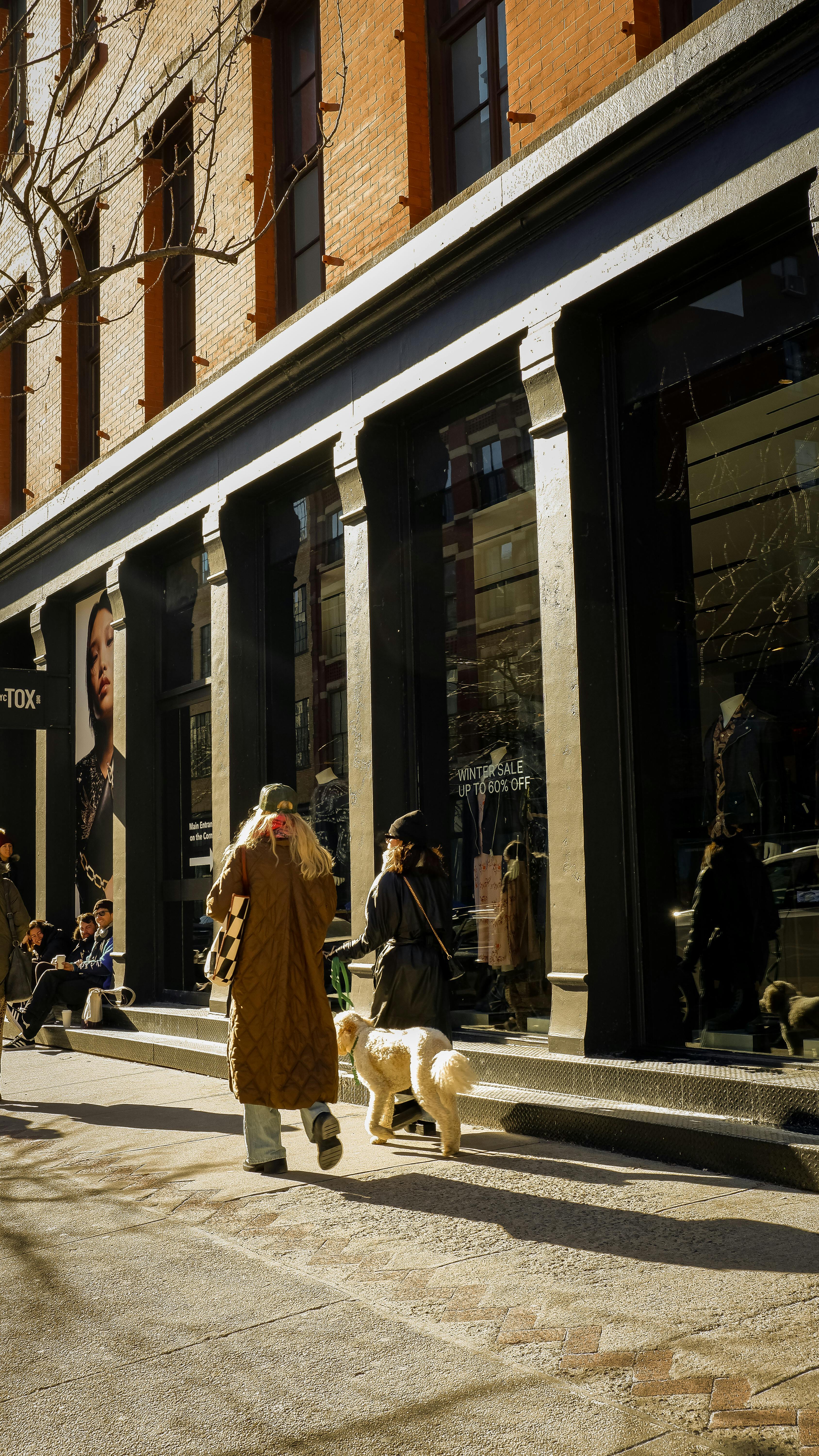 Back View of Pedestrians with a Dog Walking on a Sidewalk · Free Stock ...