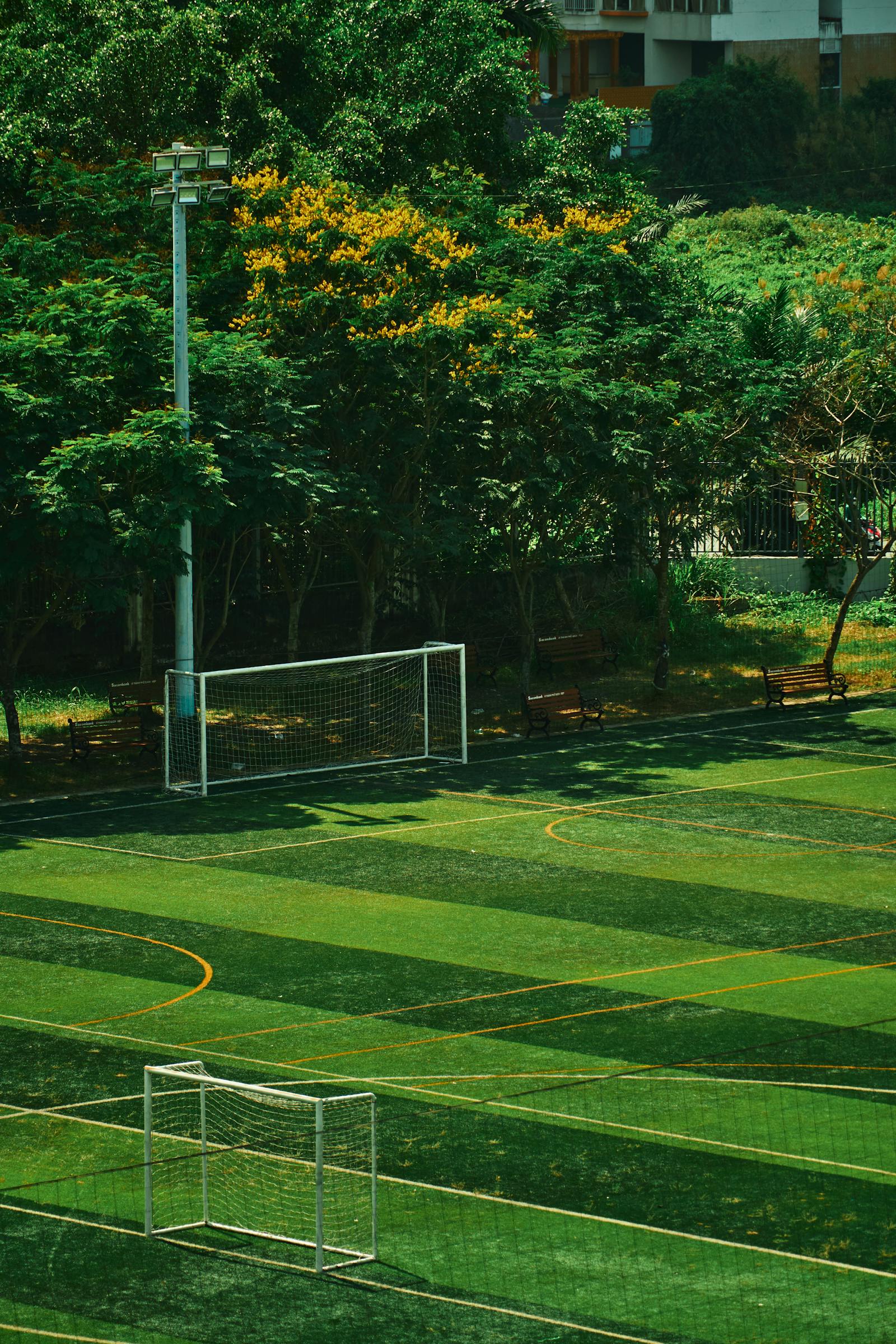 Green Goal Setting Photos, Download The BEST Free Green Goal Setting Stock Photos & HD Images