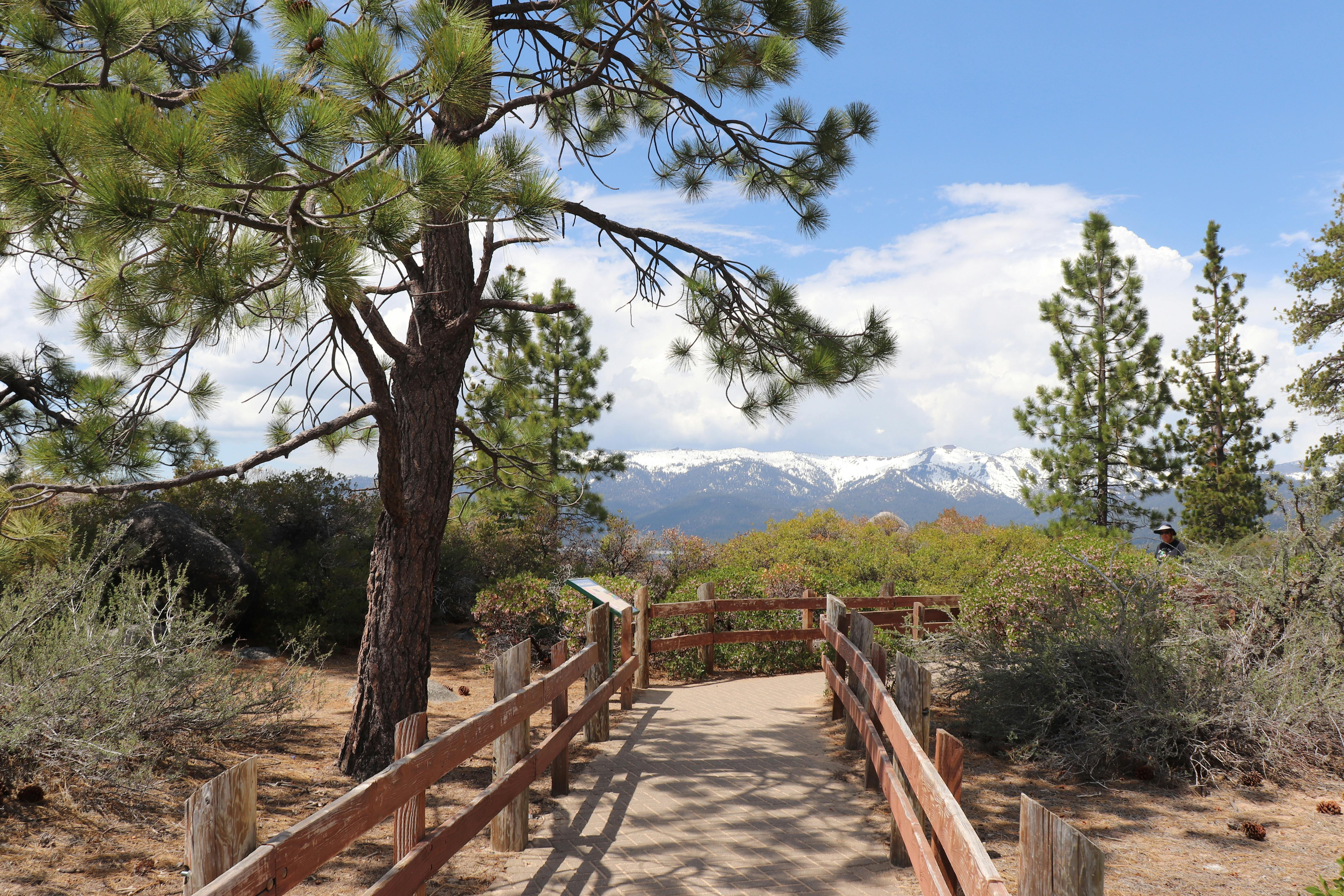 Scenic Panorama with a Hiking Trail in Mountains · Free Stock Photo