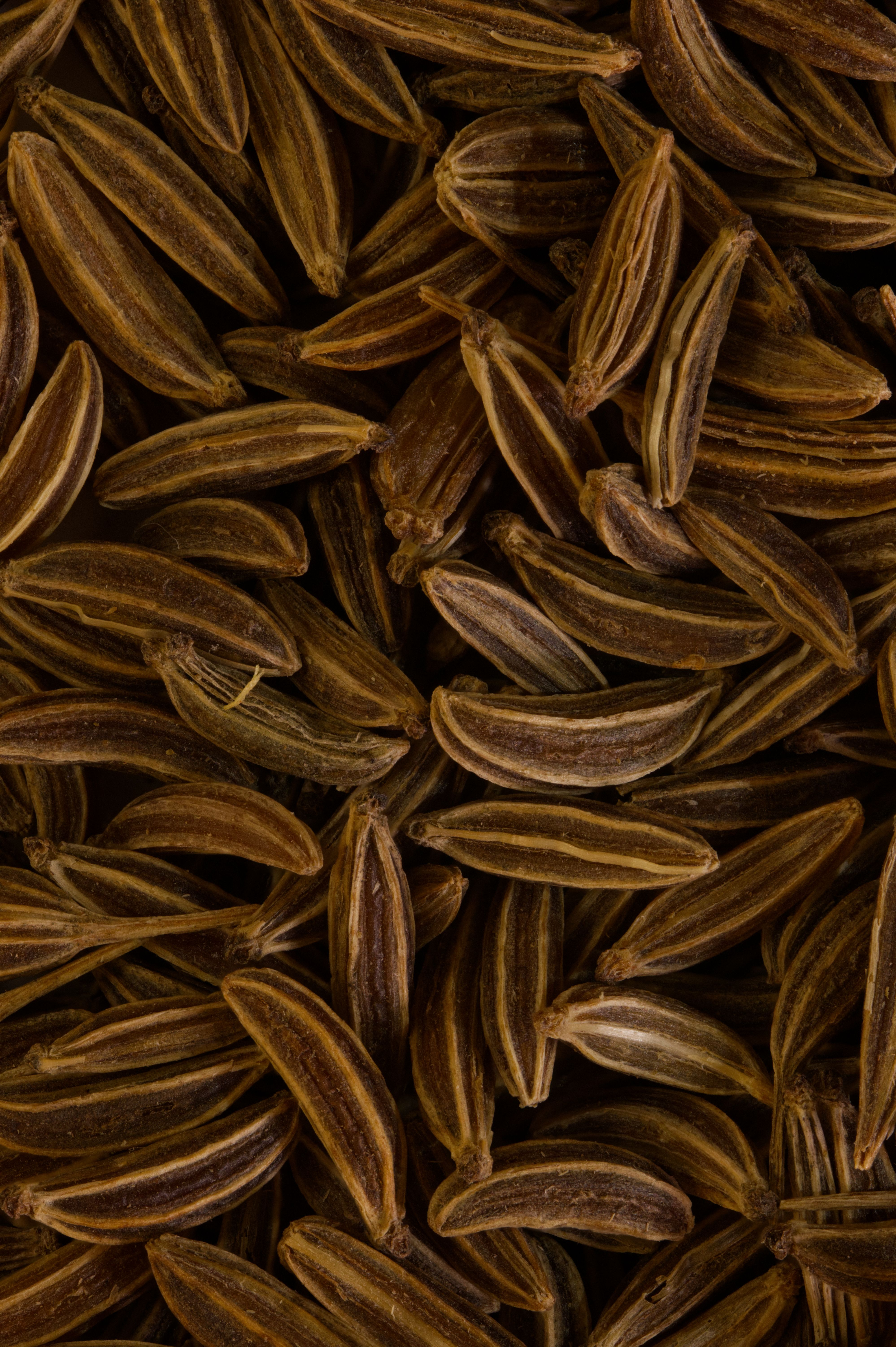 Heap of Brown Herbs · Free Stock Photo