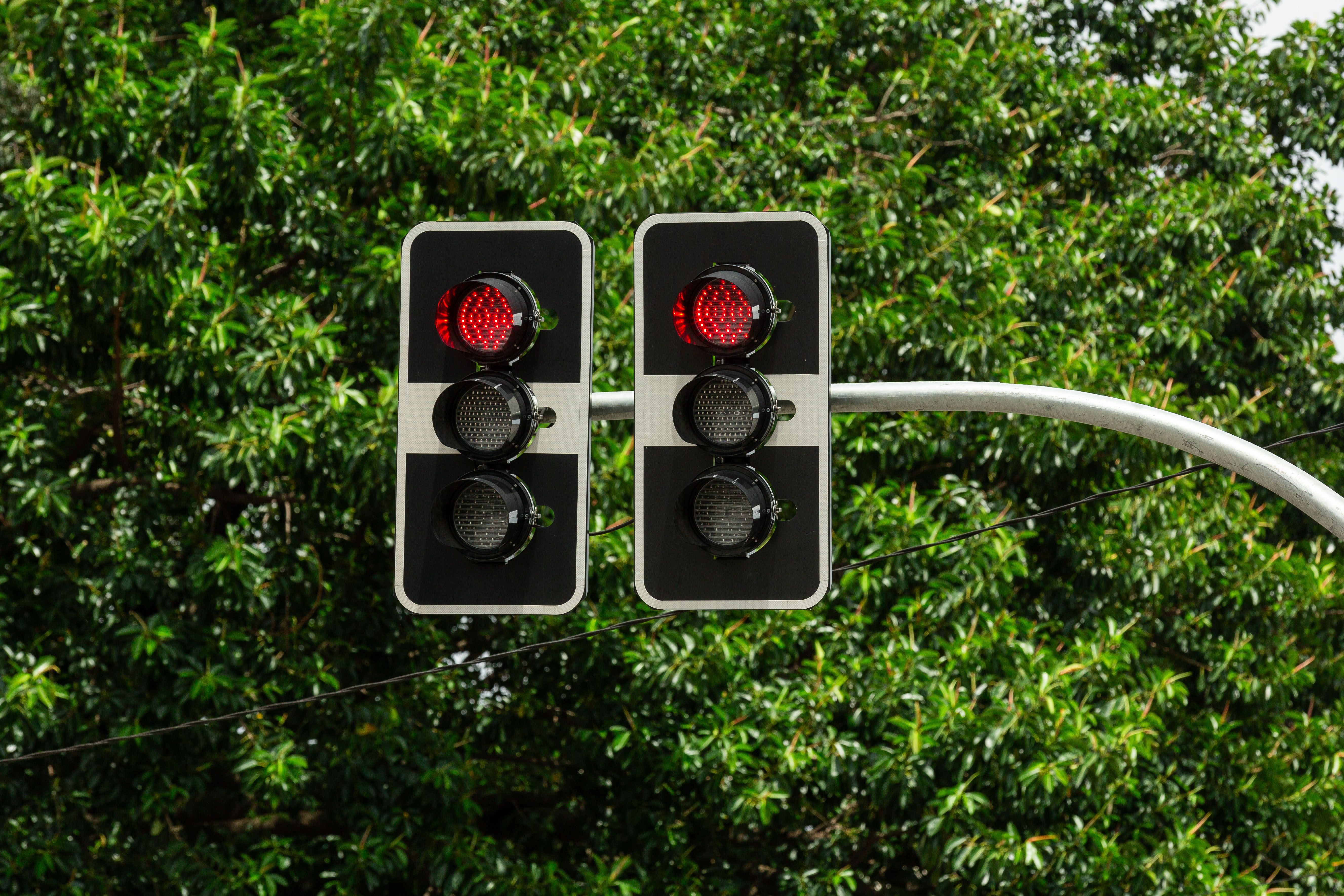 Red Traffic Lights and Tree Leaves behind · Free Stock Photo