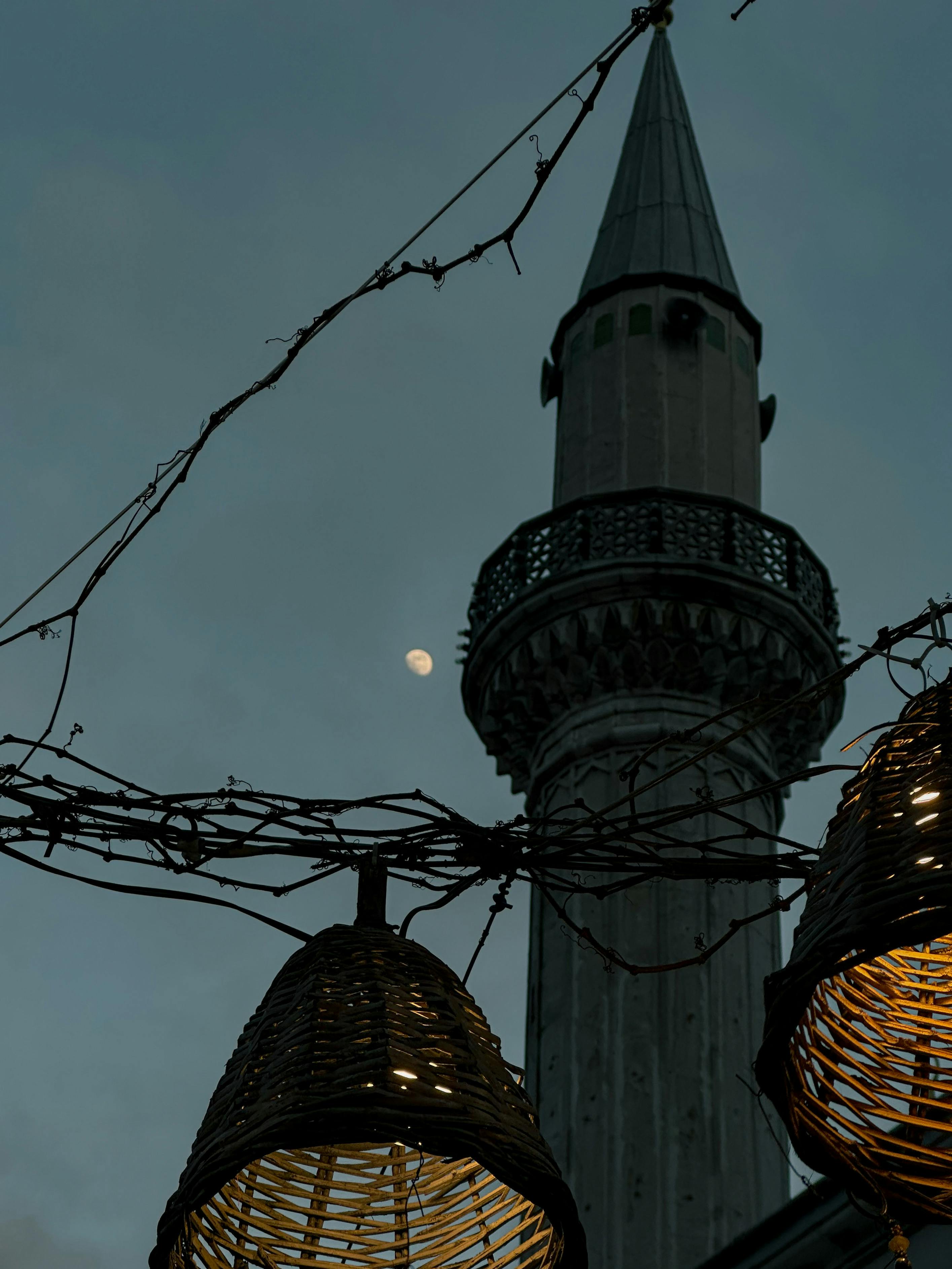 Zeynep DEMİR - Photography