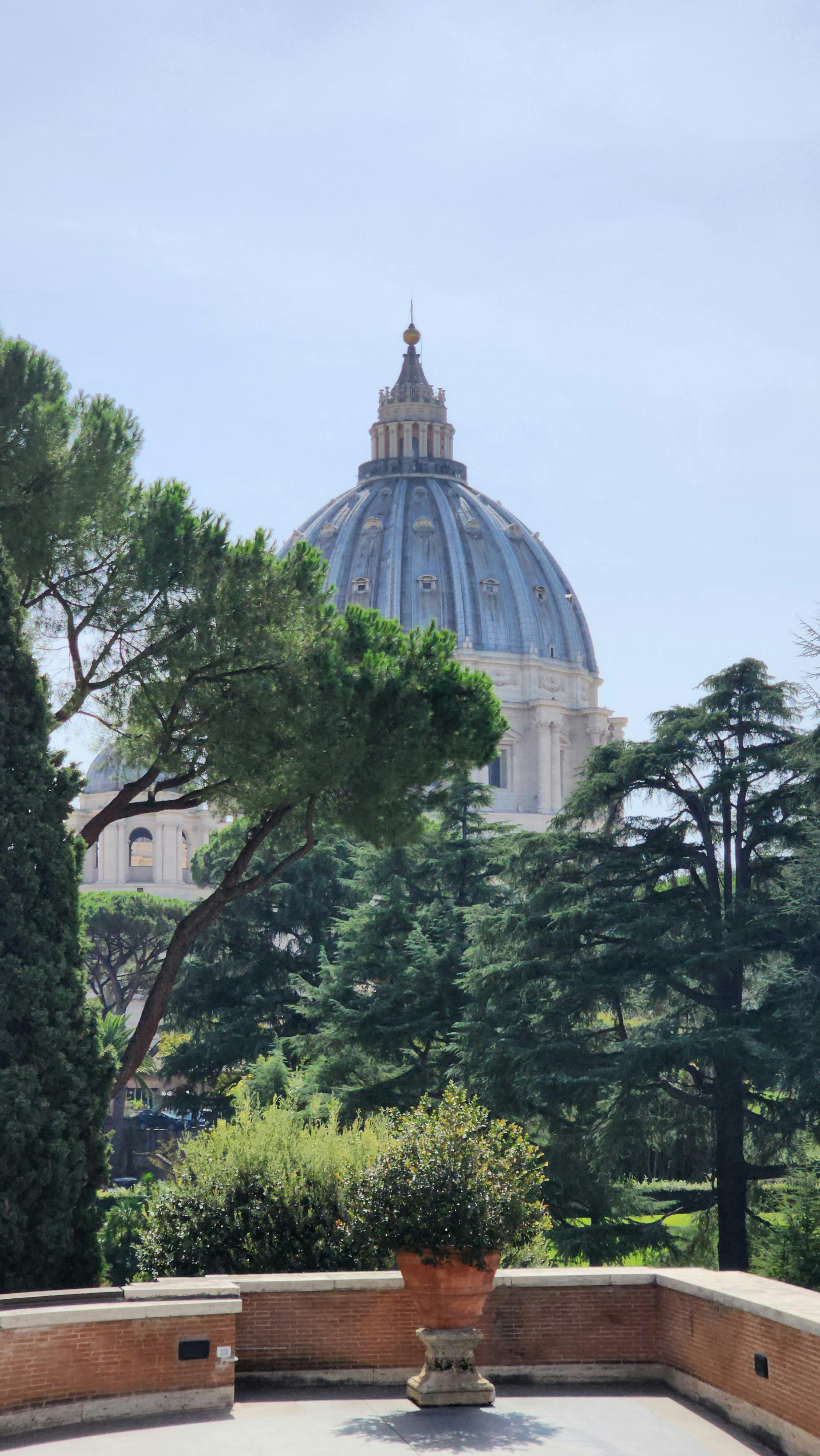View of the St. Peters Basilica from a Terrace behind Trees · Free ...