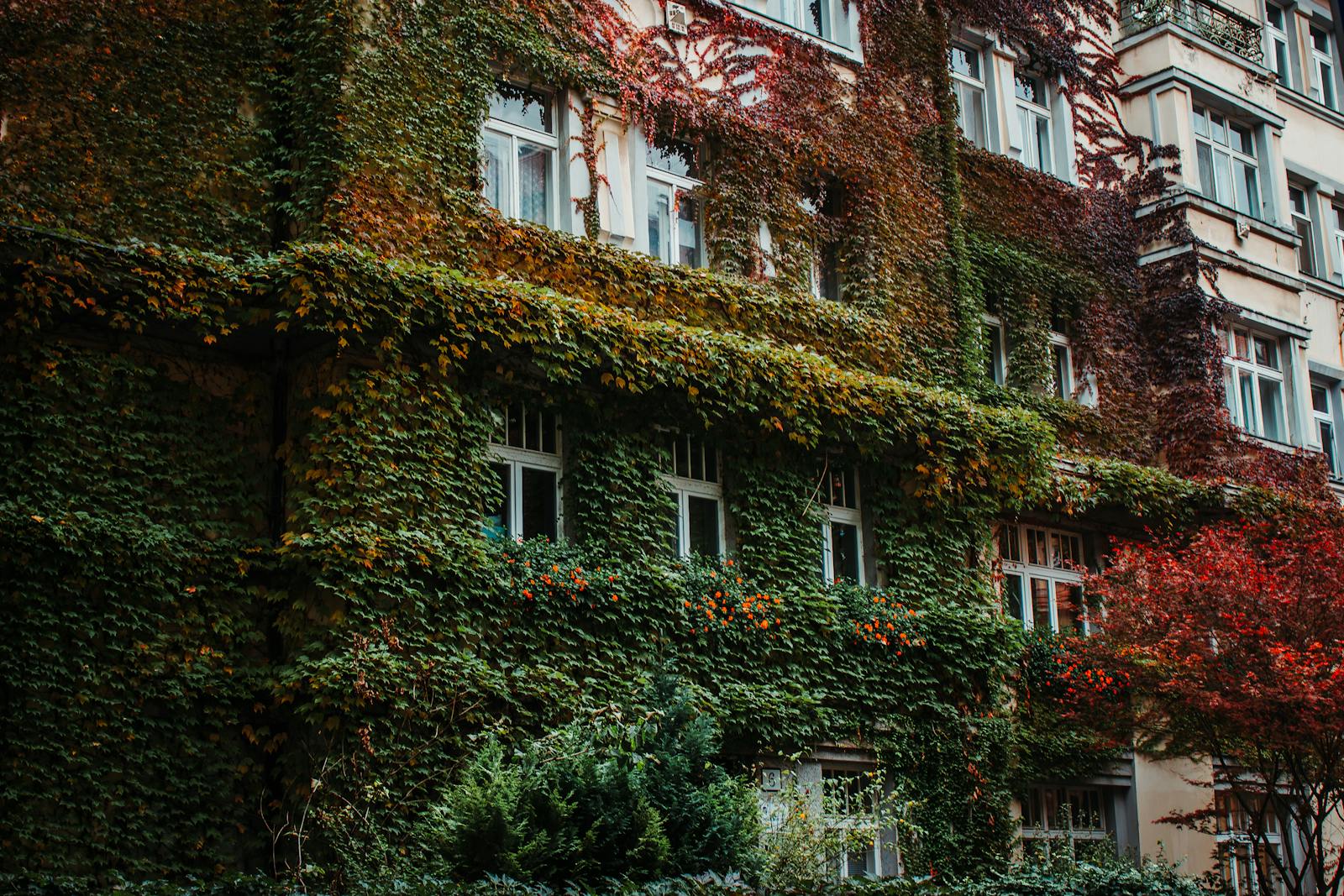 City Building Wall Photos, Download The BEST Free City Building Wall ...