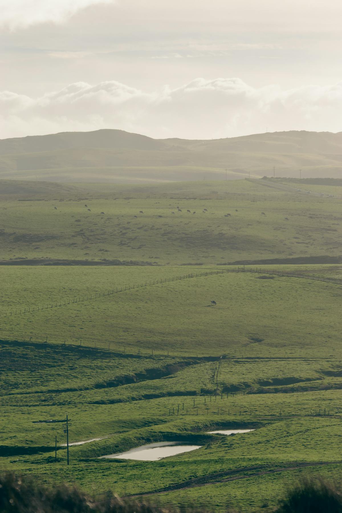 Plain Green Landscape Photos, Download The BEST Free Plain Green ...