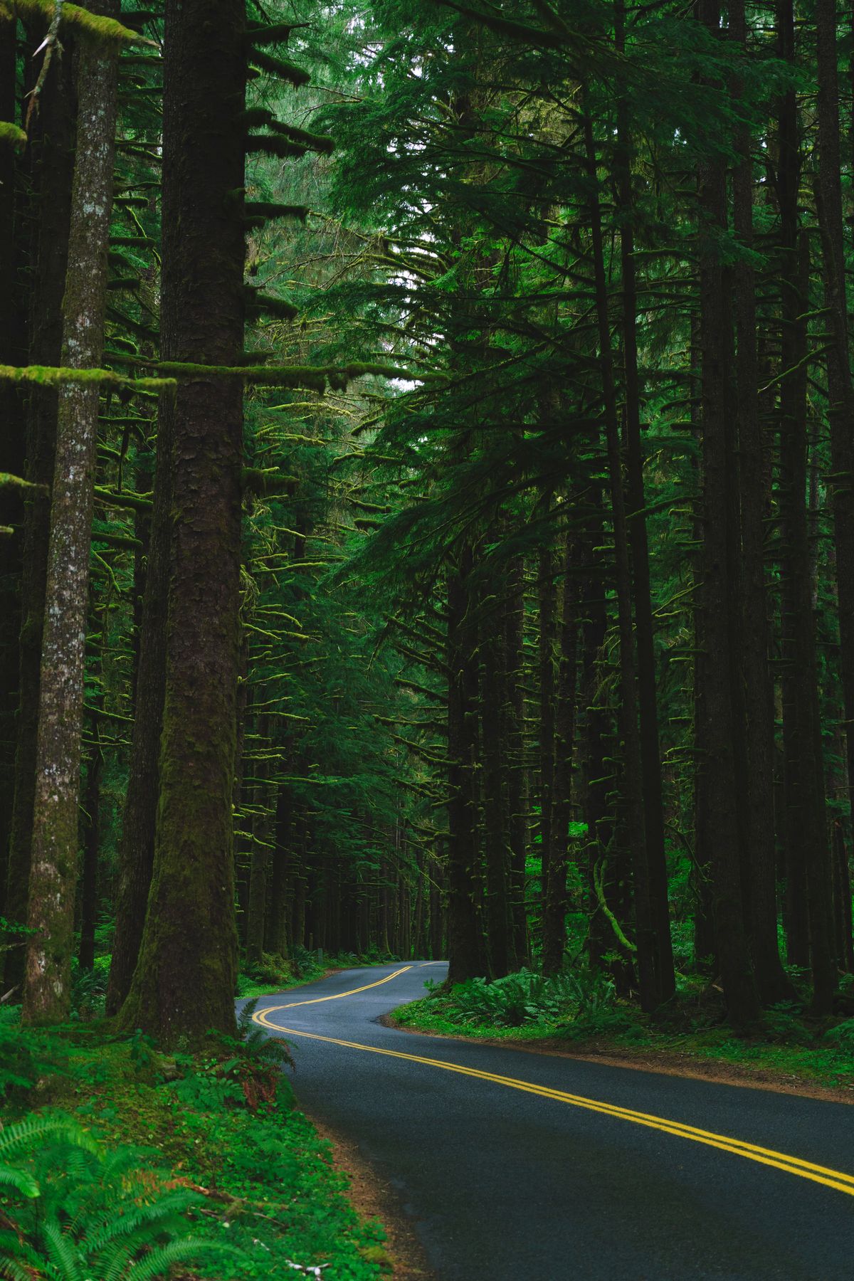 Free Vertical Wallpaper Photos, Download The BEST Free Free Vertical ...