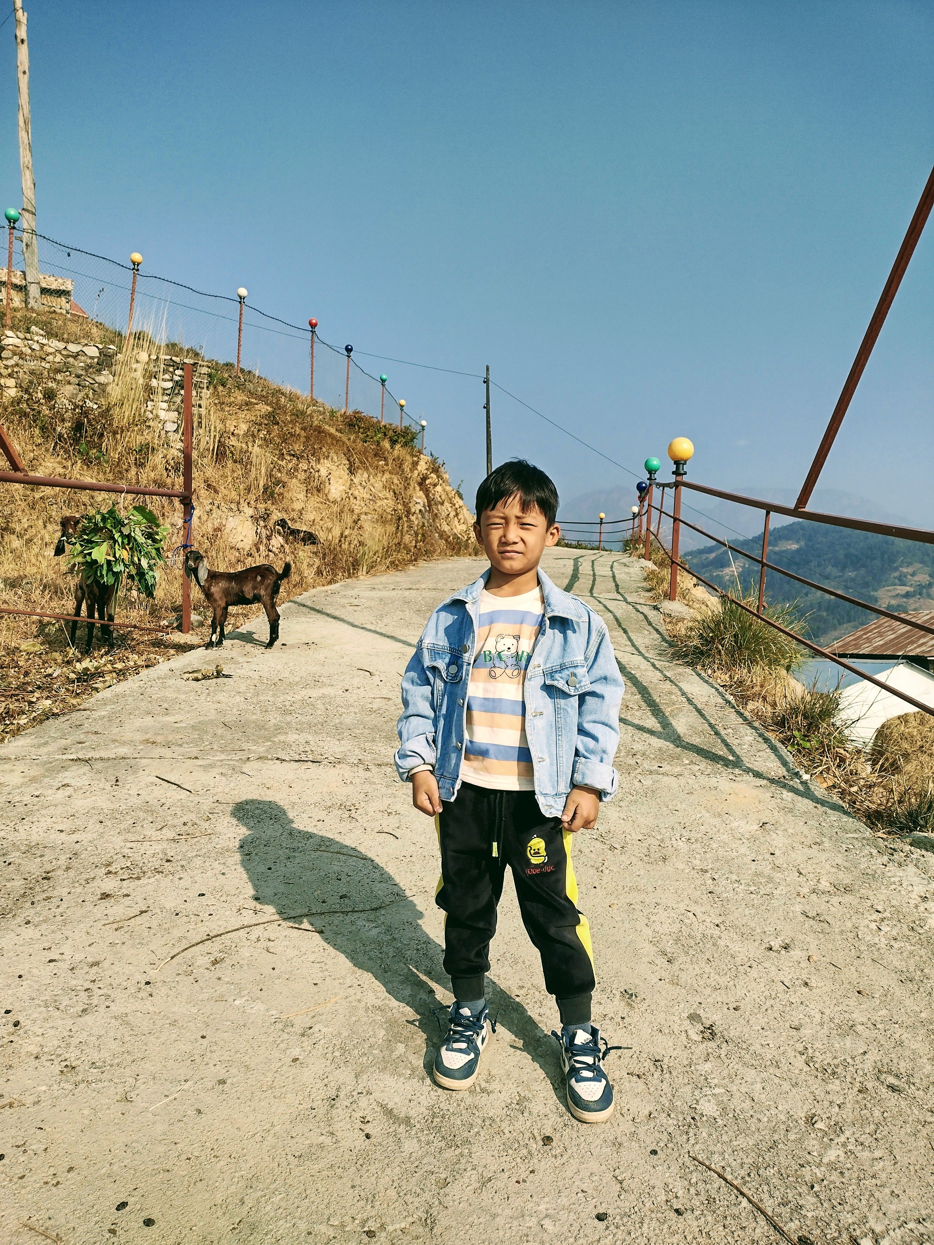 Standing Boy Photos, Download The BEST Free Standing Boy Stock Photos ...