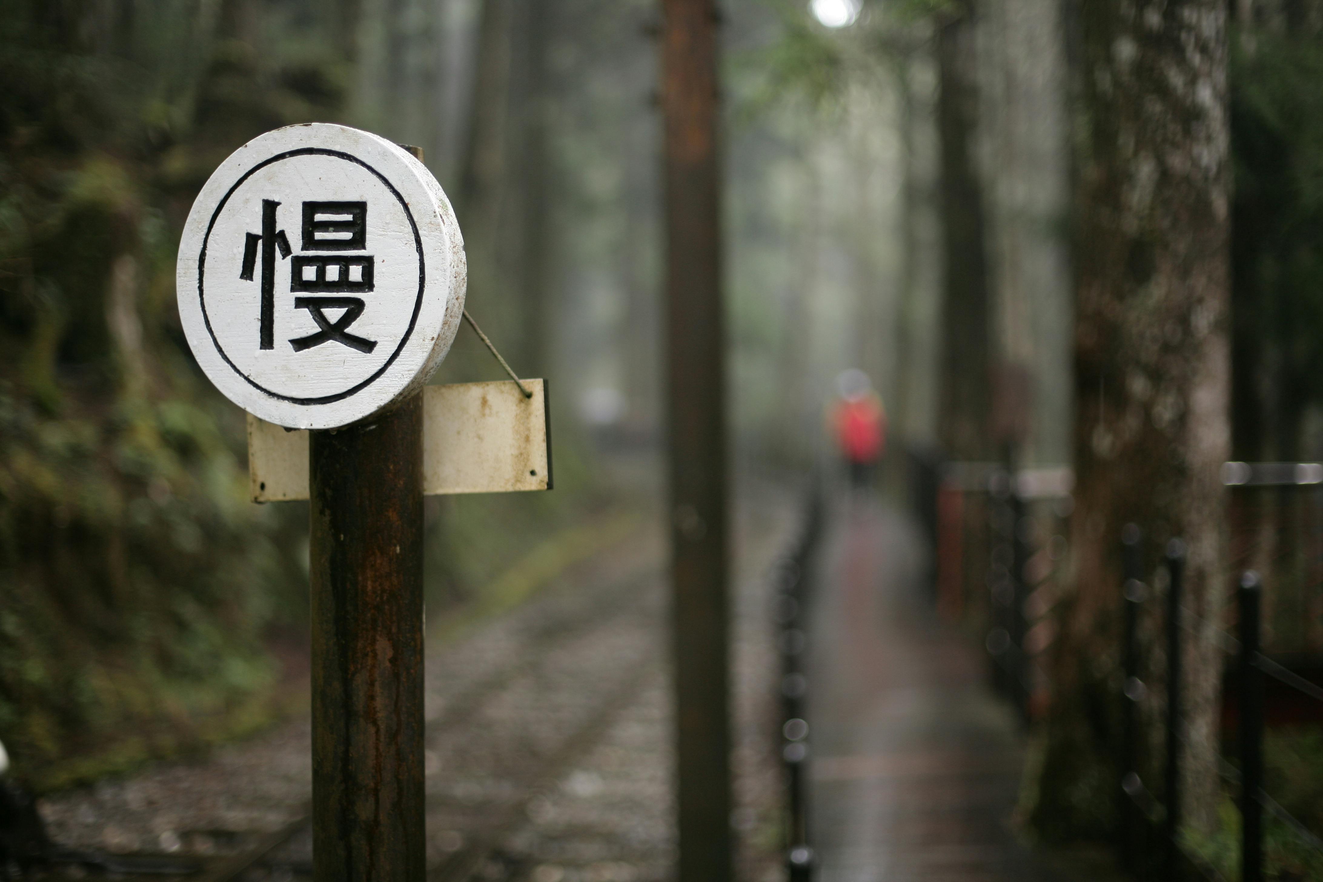 Brown Tree · Free Stock Photo