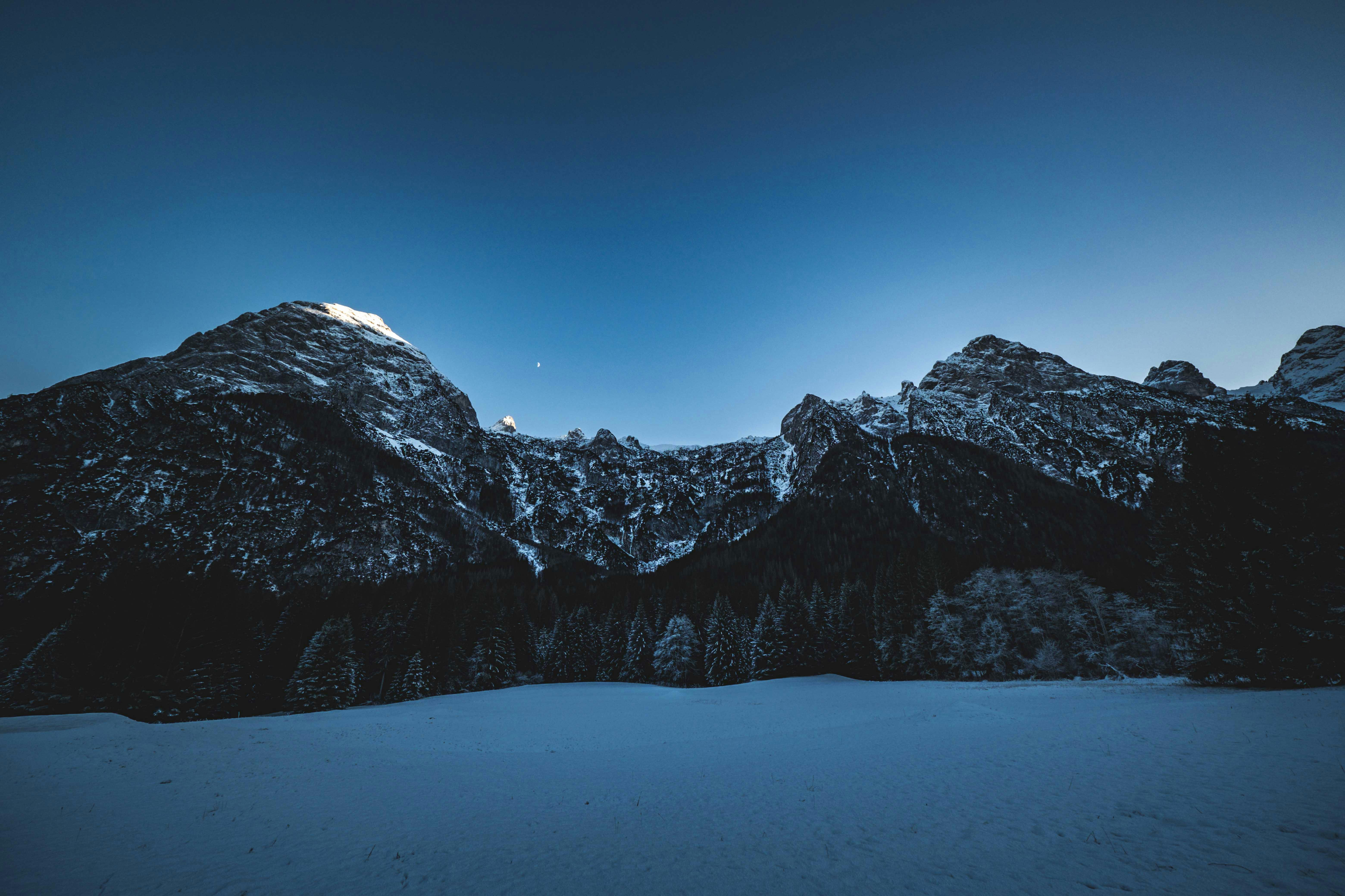 Forest in Mountains at Night in Winter · Free Stock Photo