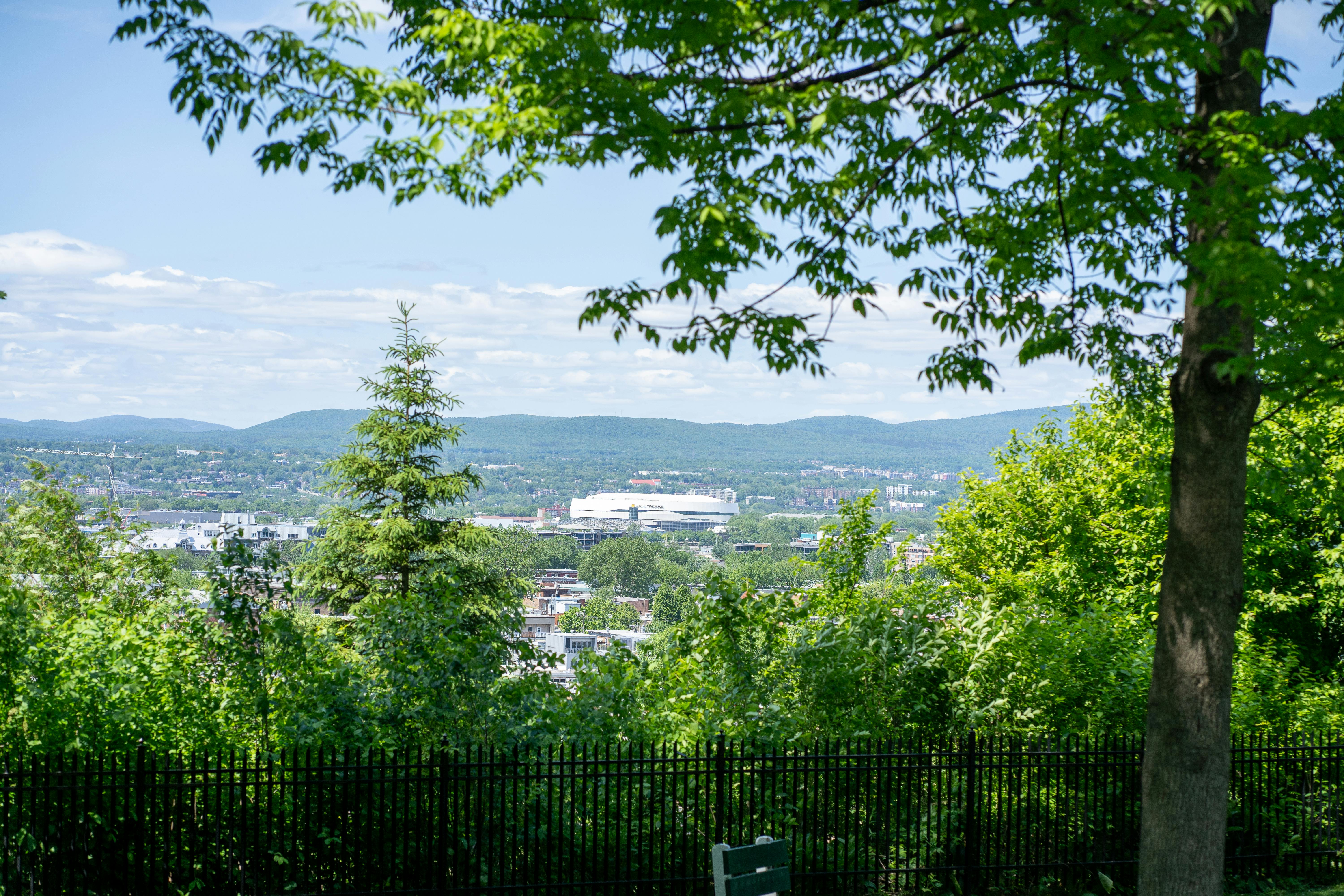 Panorama of a City behind Green Trees · Free Stock Photo