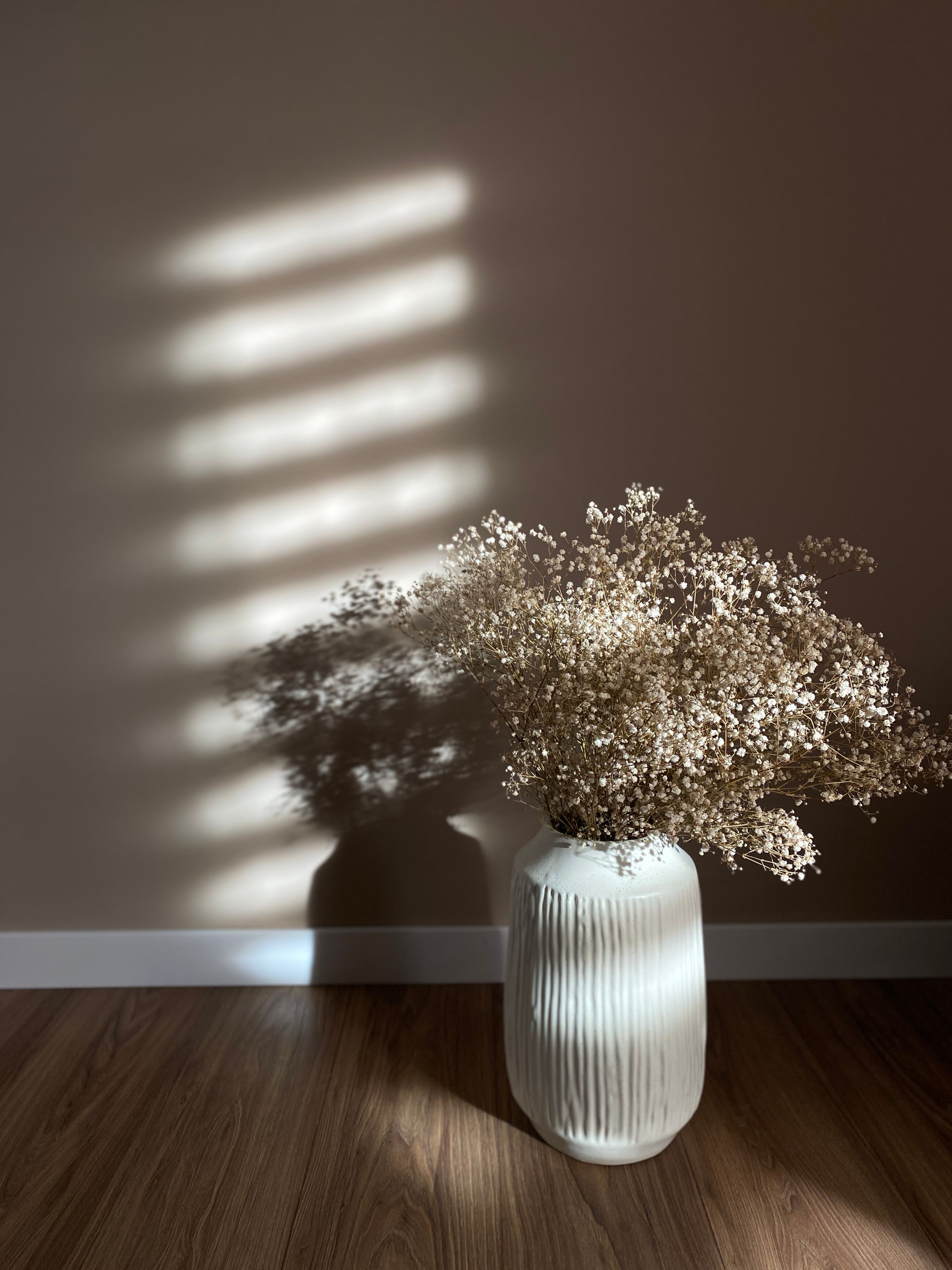 Stillness Photos, Download The BEST Free Stillness Stock Photos & HD Images