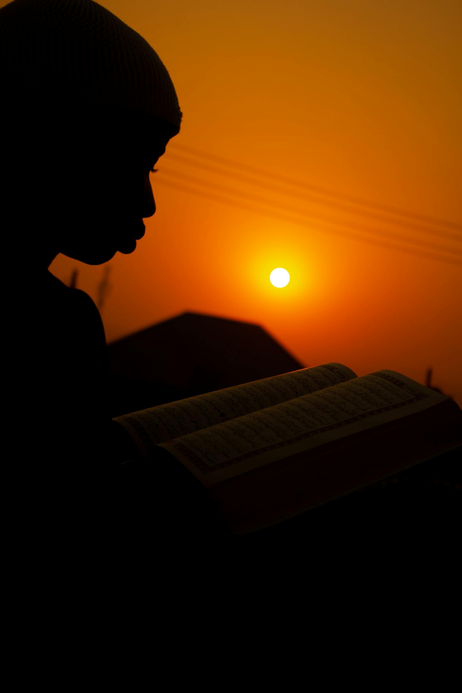 Sunset Reading Book Photos, Download The BEST Free Sunset Reading Book ...