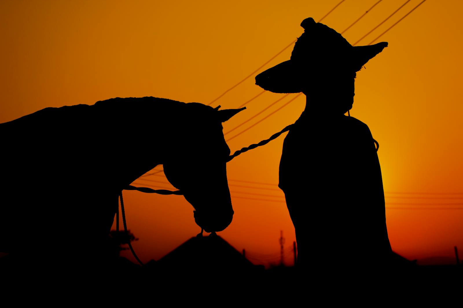 Cowboy Background Photos, Download The BEST Free Cowboy Background ...