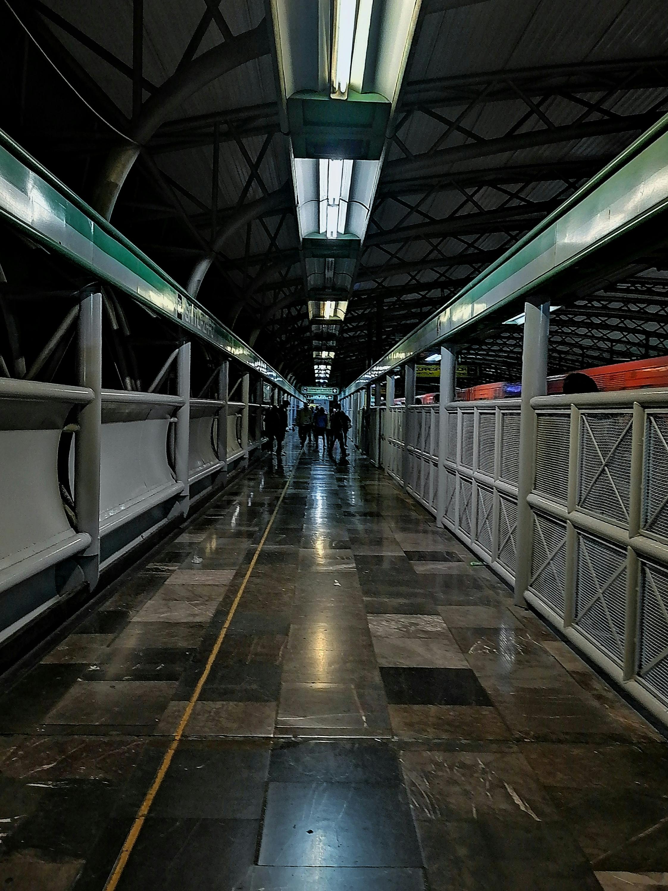 Alejandro AR - การถ่ายภาพ