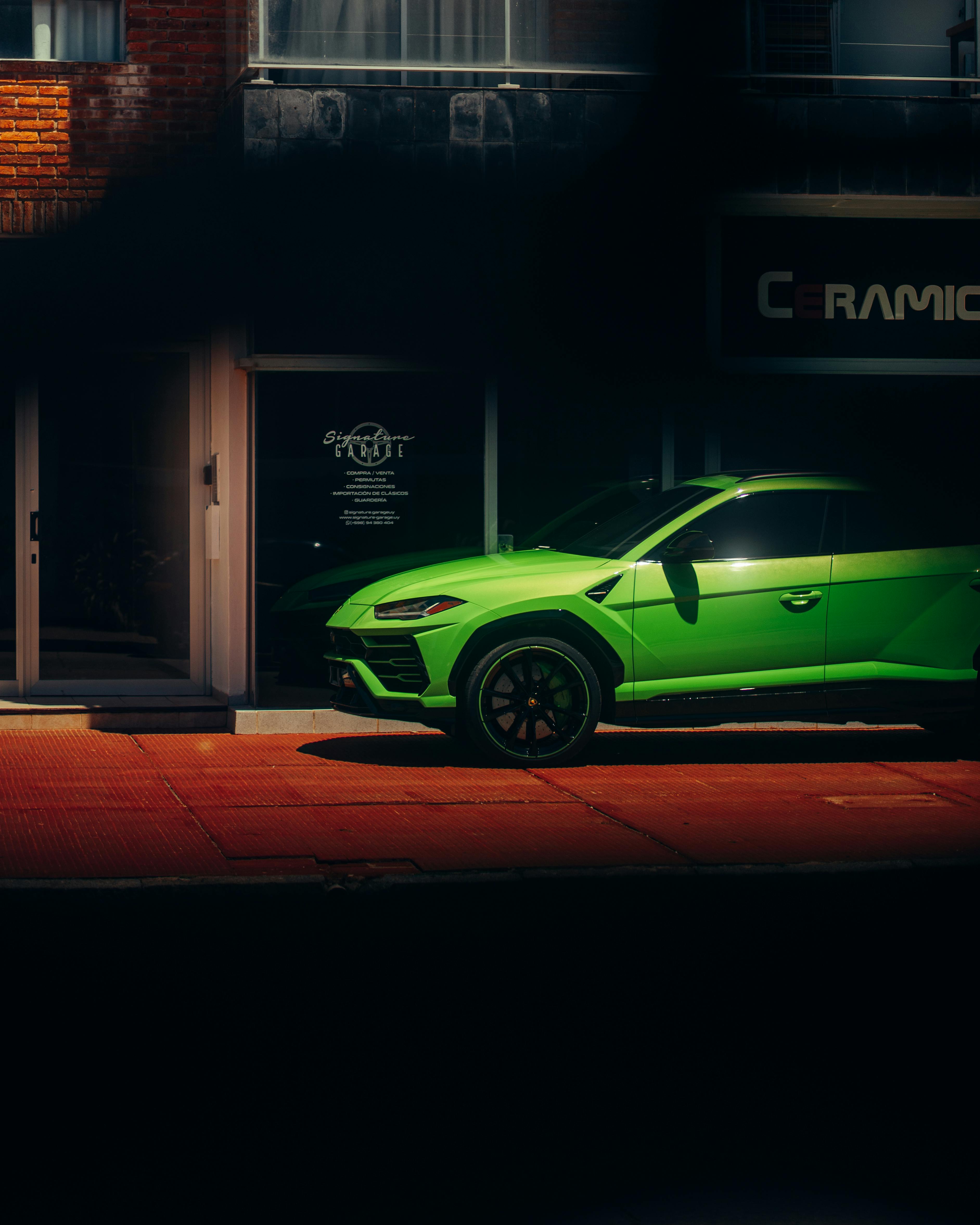 Urus Photos, Download The BEST Free Urus Stock Photos & HD Images