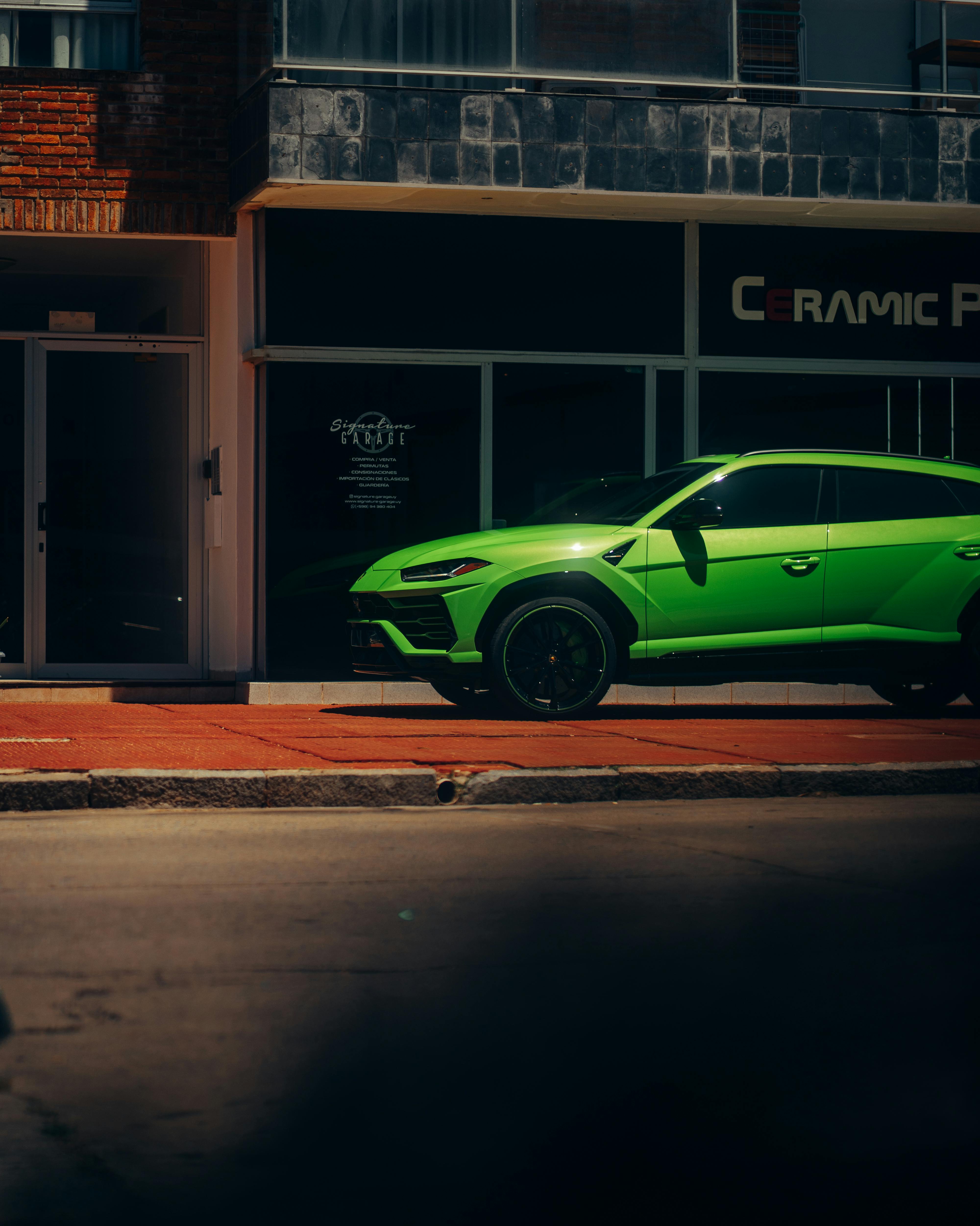 Urus Photos, Download The BEST Free Urus Stock Photos & HD Images
