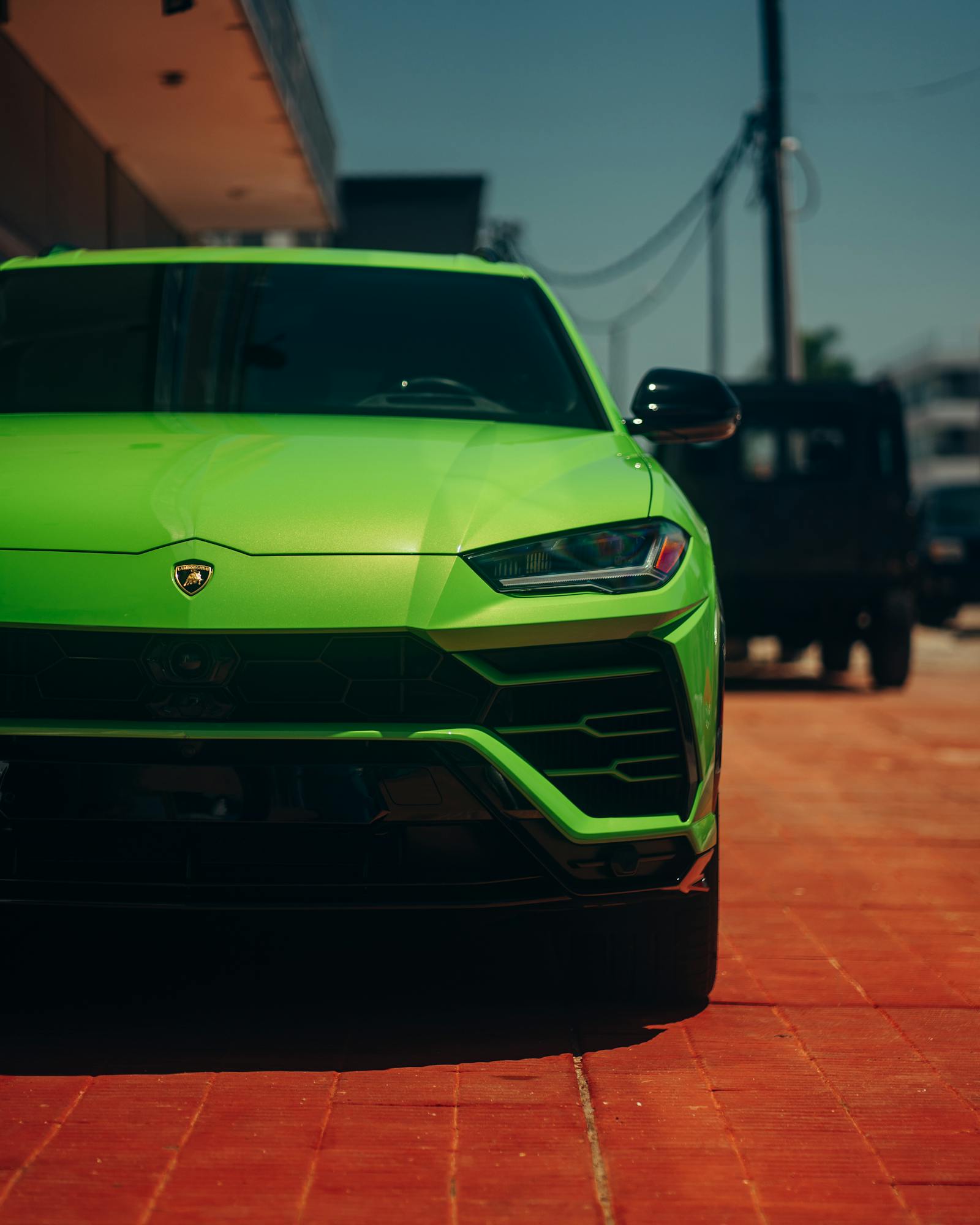 Urus Photos, Download The BEST Free Urus Stock Photos & HD Images