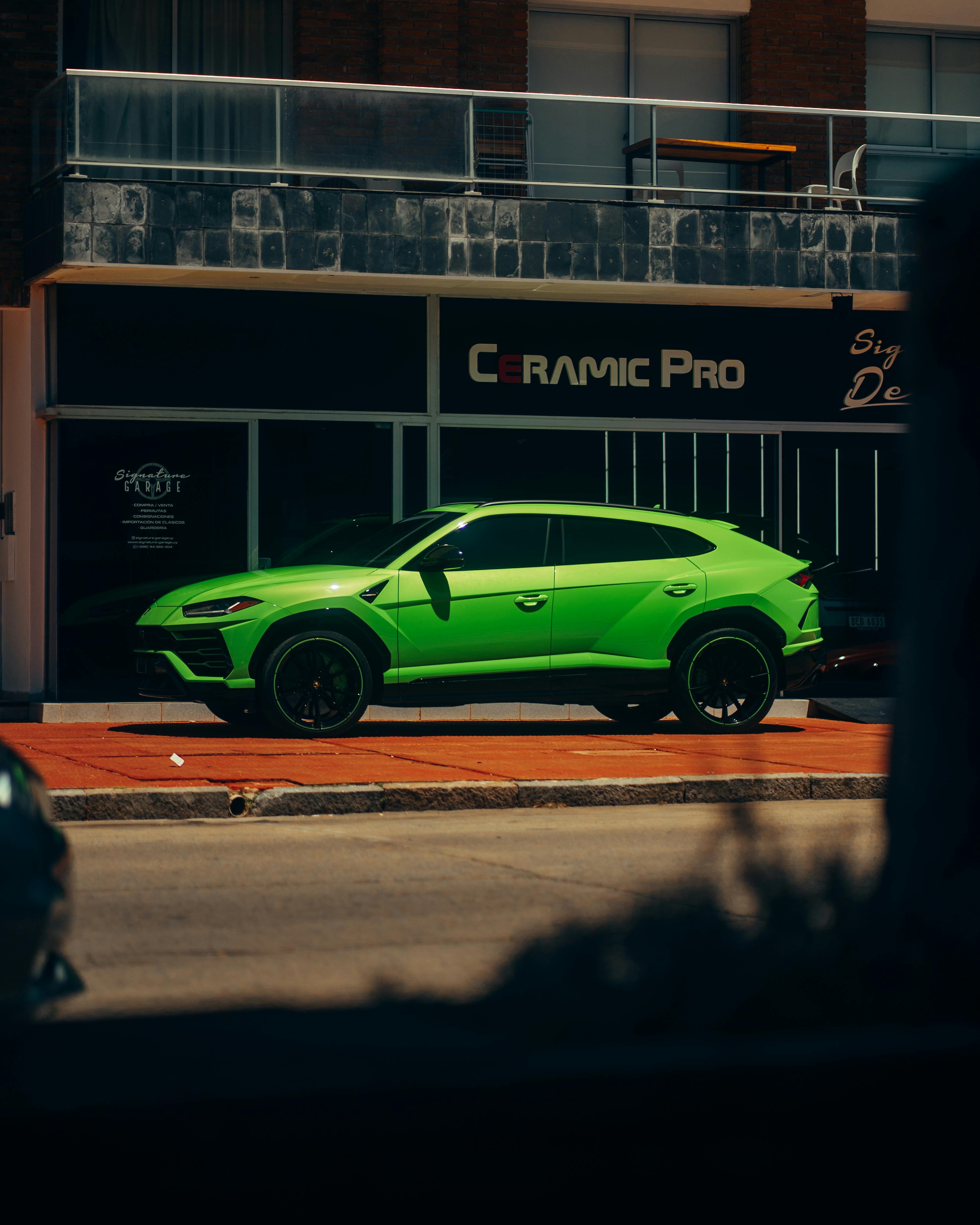 Urus Photos, Download The BEST Free Urus Stock Photos & HD Images